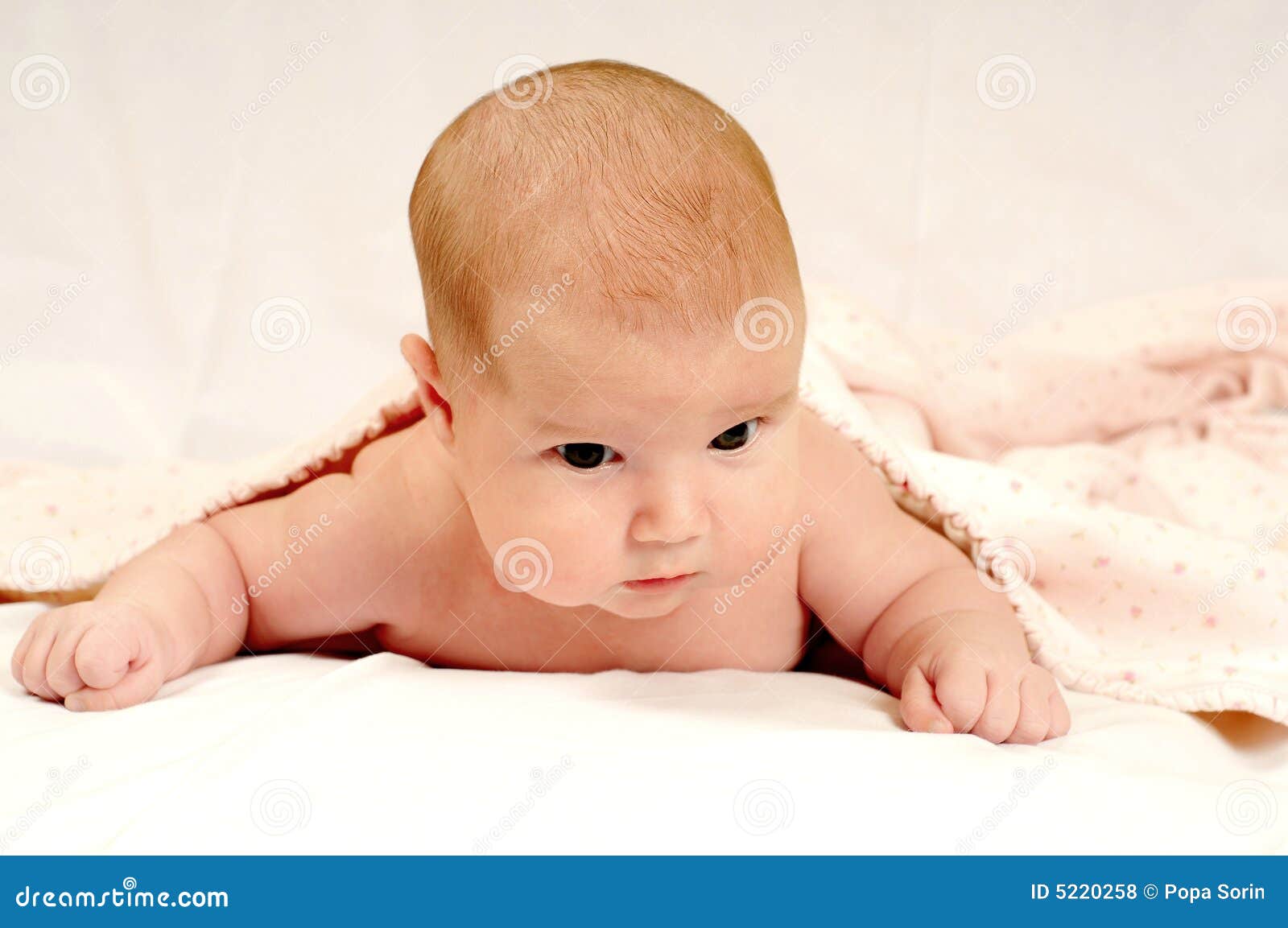 Little Baby Picture. Image: 5220258