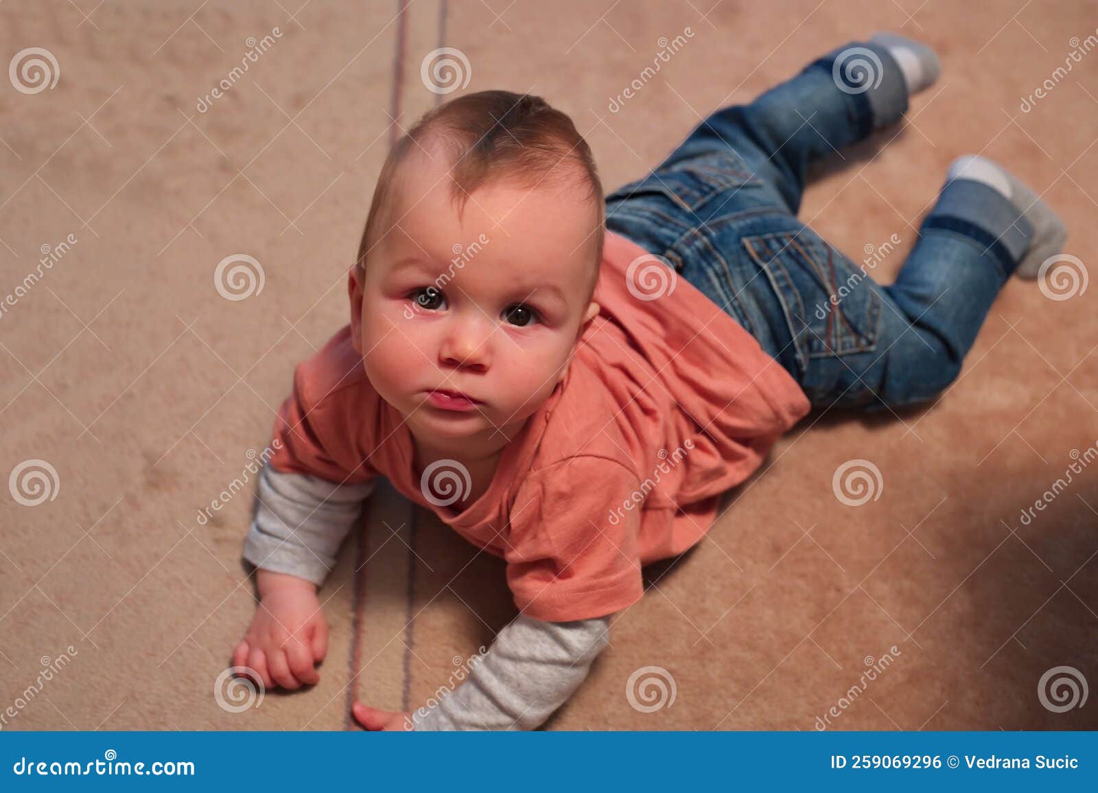 Little baby boy crawling stock photo. Image of floor - 259069296