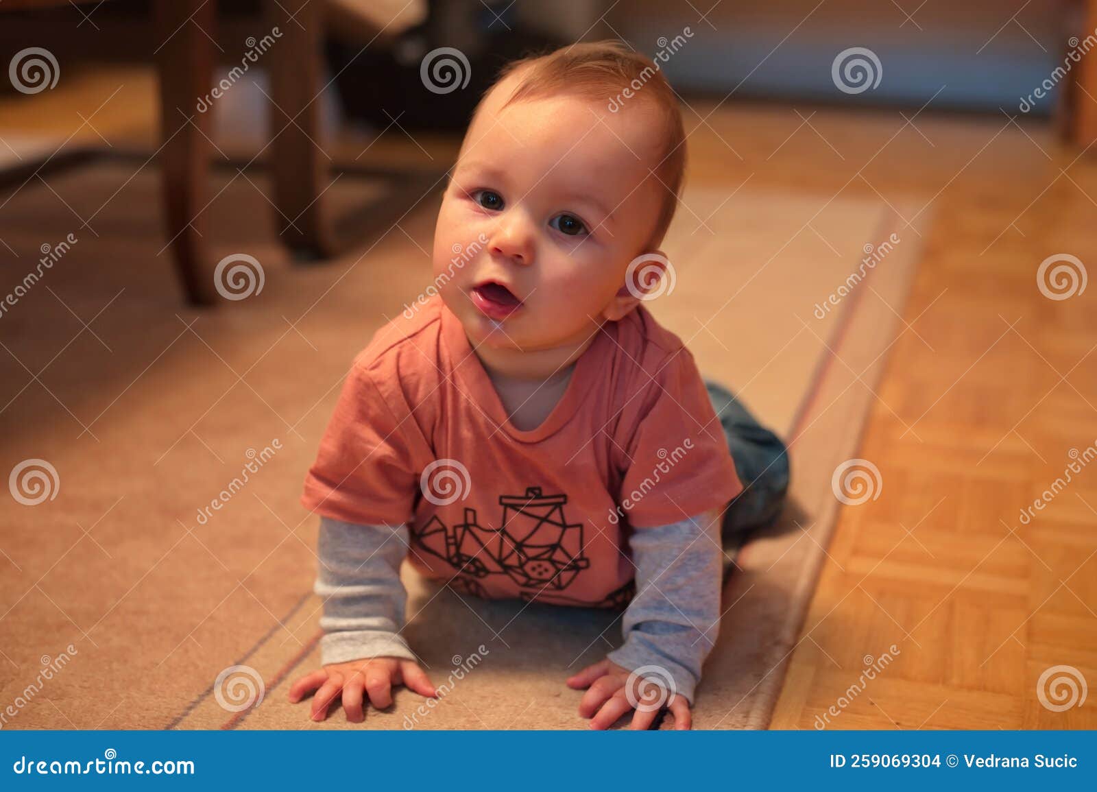Baby boy crawling at home stock photo. Image of gentleness - 259069304