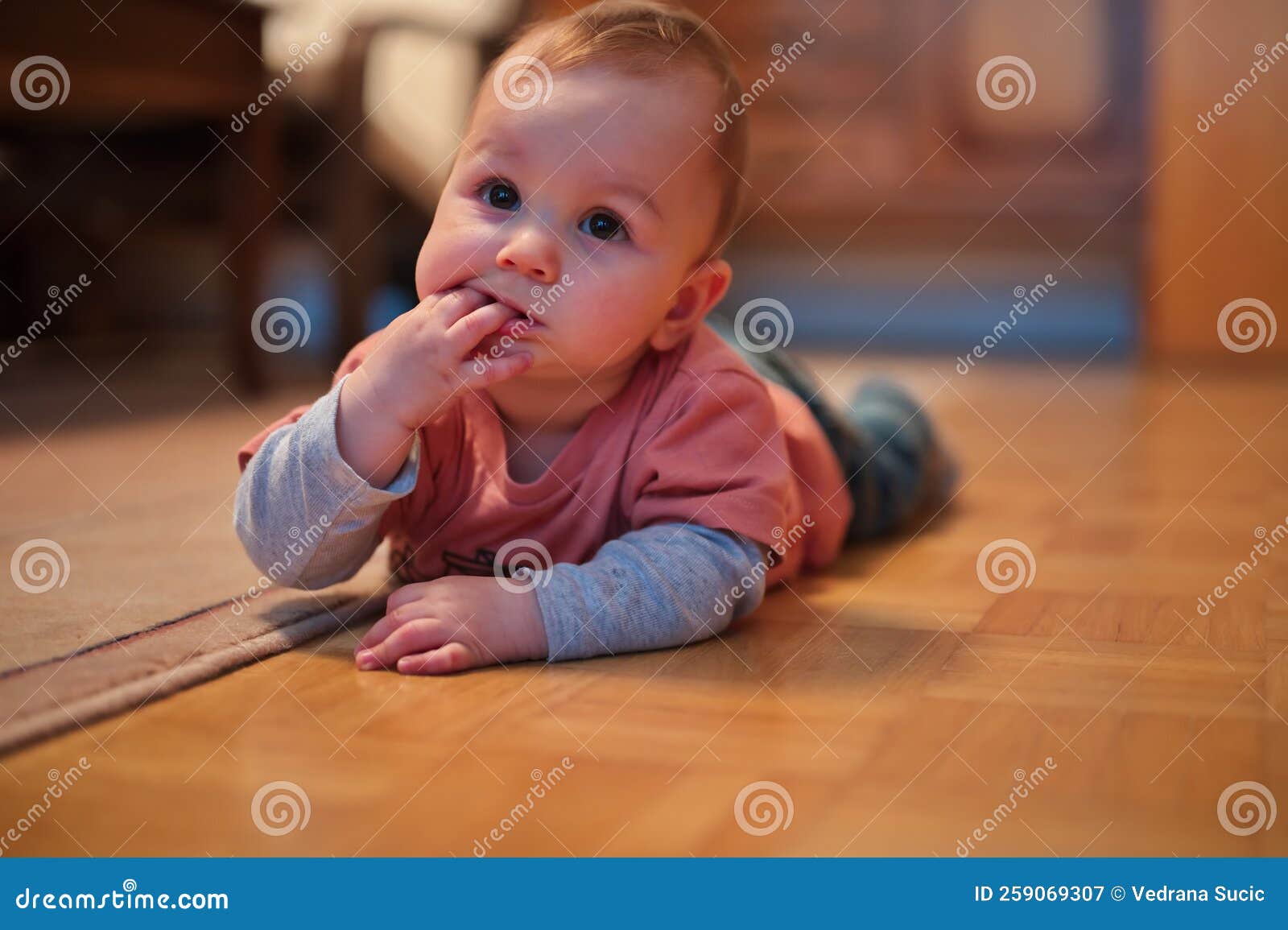 Baby boy crawling at home stock image. Image of crawl - 259069307
