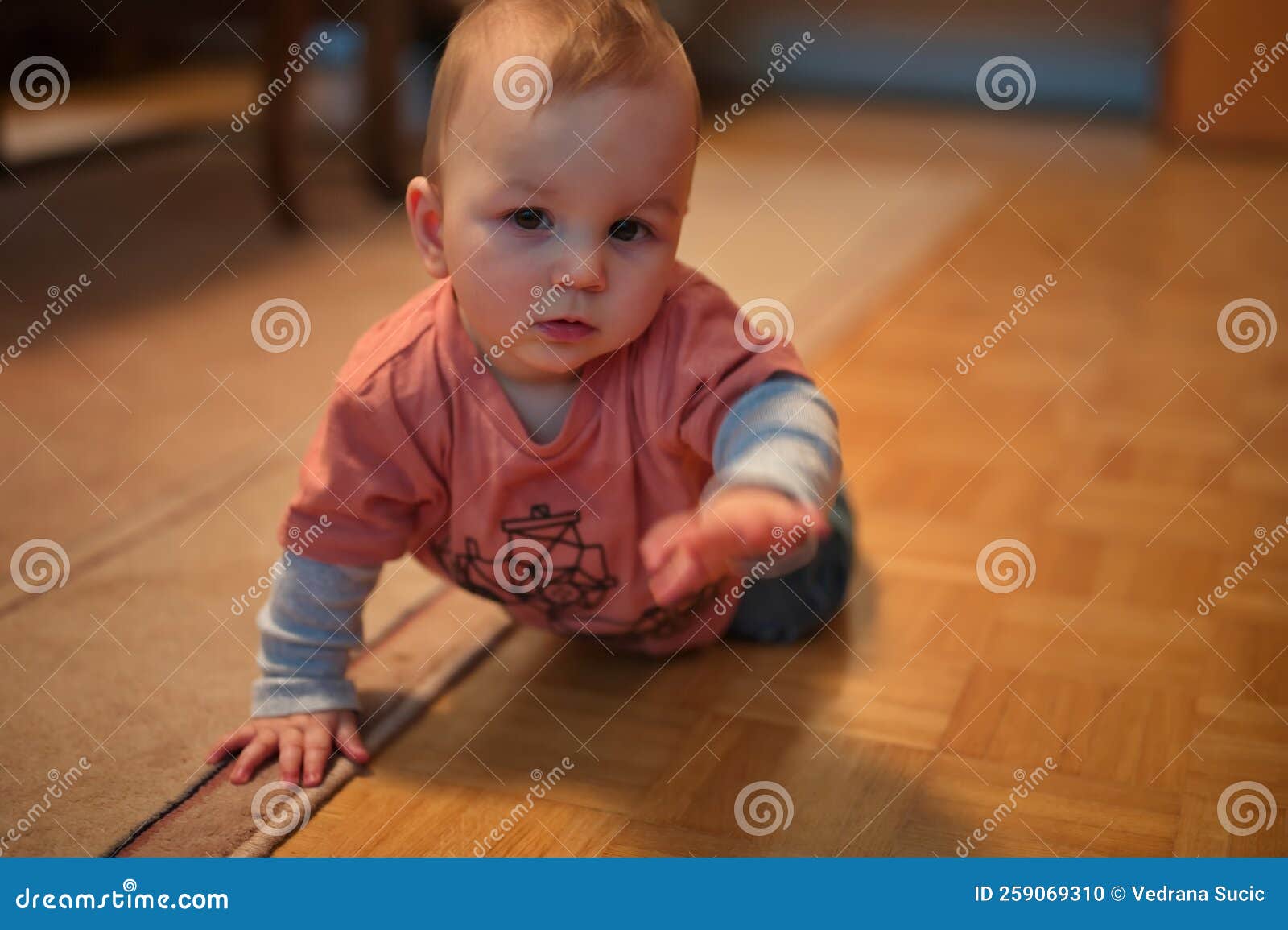 Baby boy crawling at home stock photo. Image of innocent - 259069310