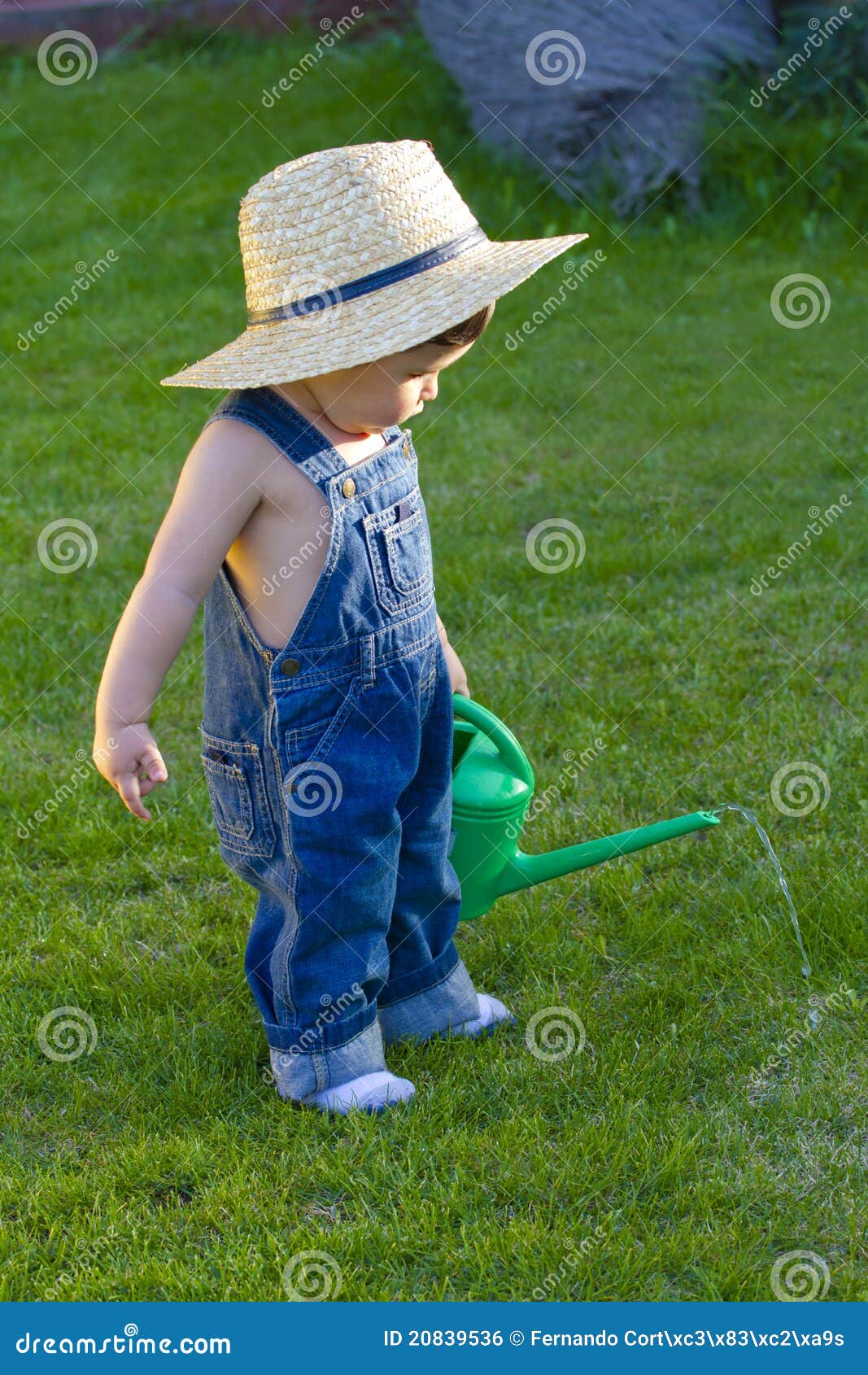 Little baby boy gardener stock photo. Image of people - 20839536