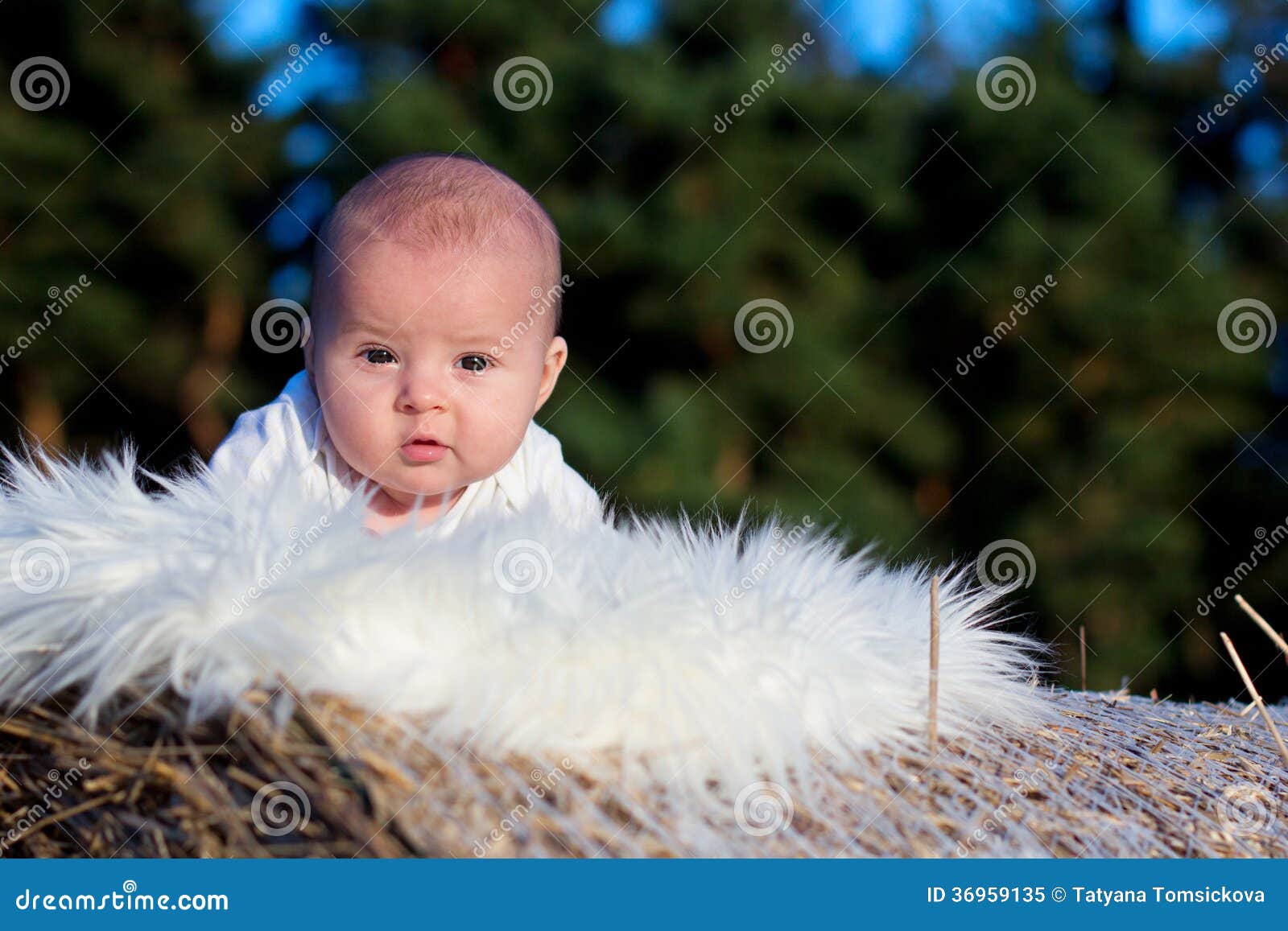 Little Baby Boy Lying on Haystack Stock Image - Image of nose, dream ...