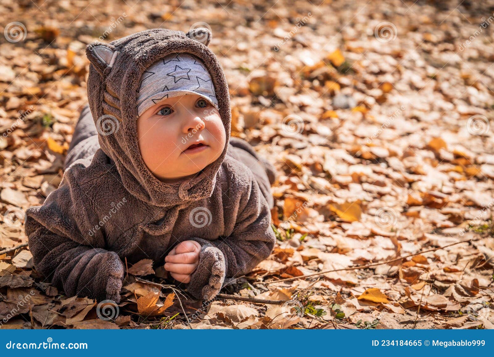 Little Baby Boy Playing in Yellow Fall Foliage, Copy Space Stock Image ...