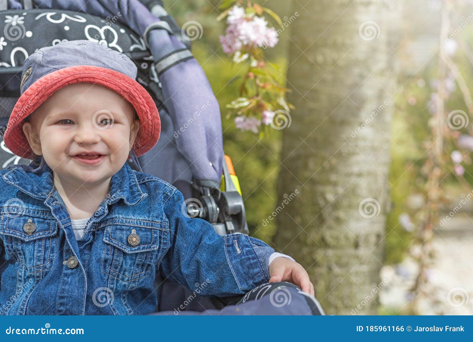Little Baby Boy Sitting in Stroller Stock Photo - Image of blue ...