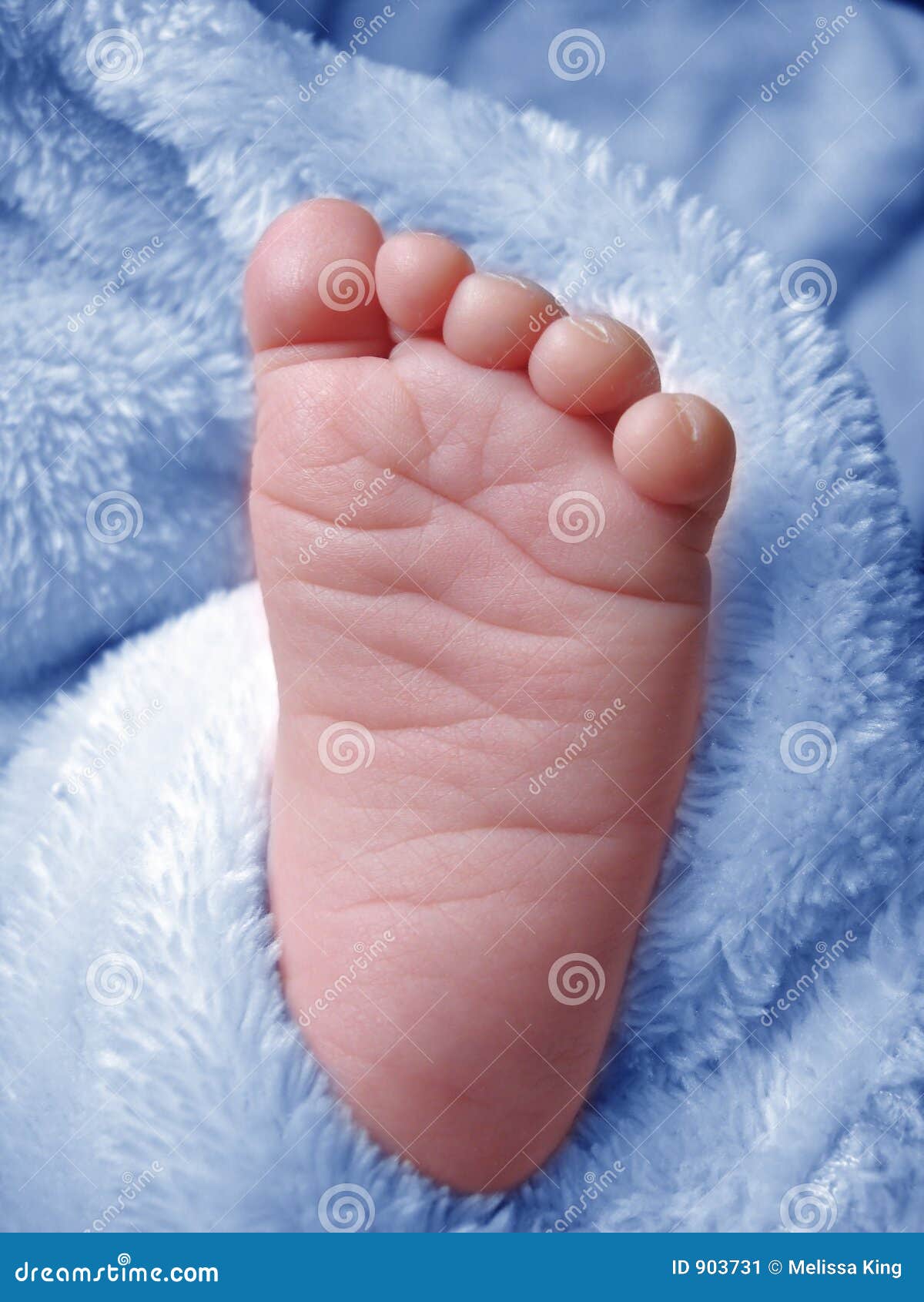 Little Baby Boys Foot stock image. Image of persons, objects - 903731