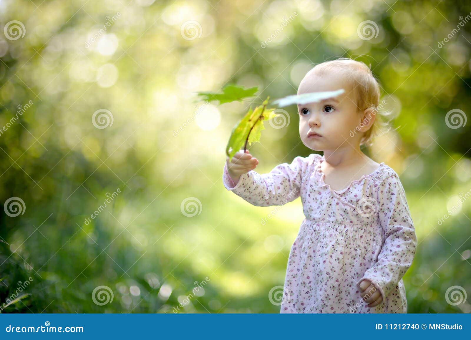 Little Baby in a Forest Holding Maples Leaves Stock Photo - Image of ...
