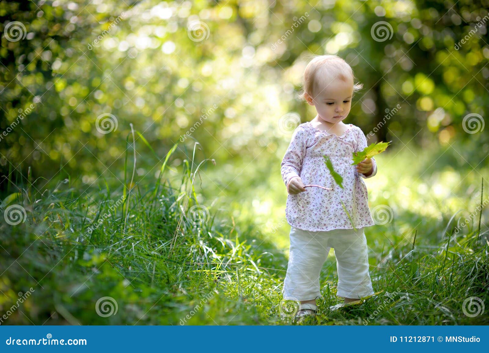 Little Baby in a Forest Holding Maples Leaves Stock Image - Image of ...
