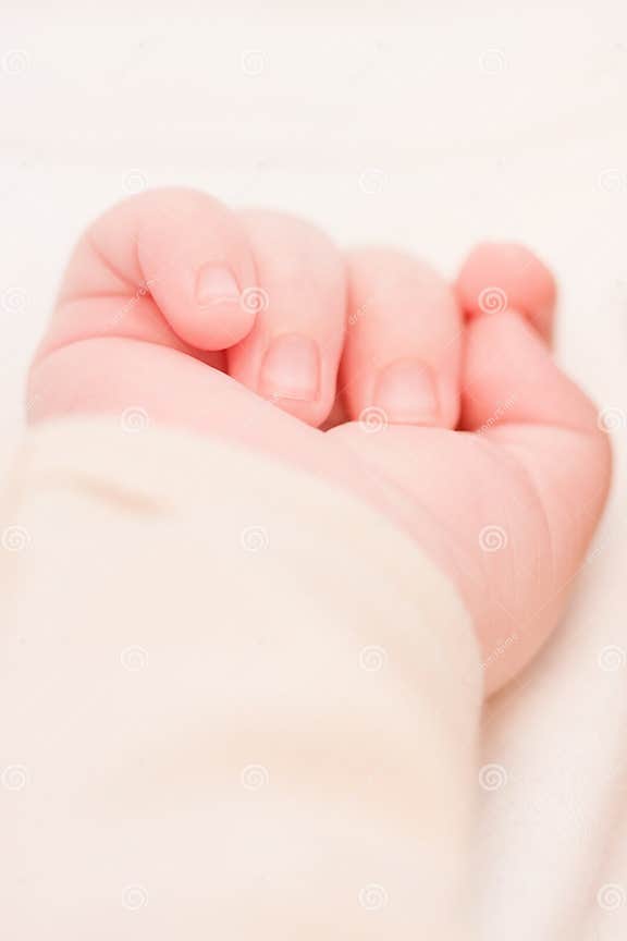 Little baby hand stock photo. Image of small, health - 13291166