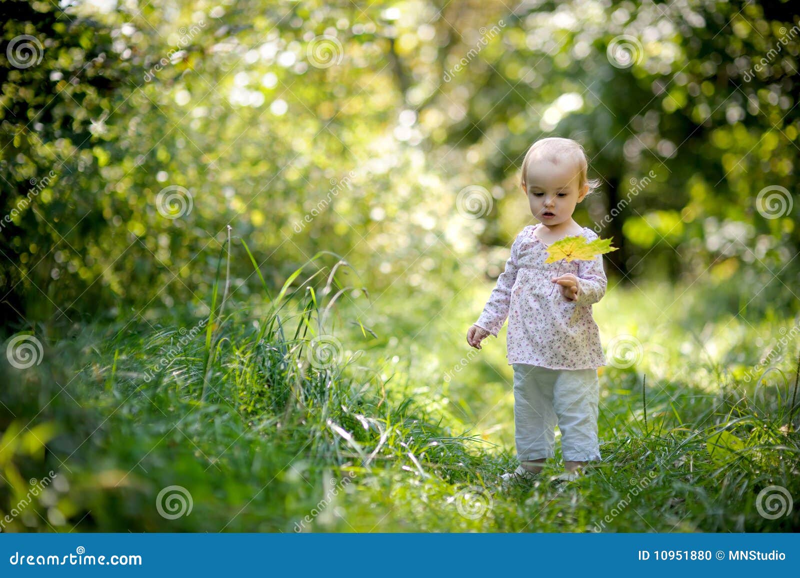 Little Baby in a Summer Forest Stock Photo - Image of baby, caucasian ...