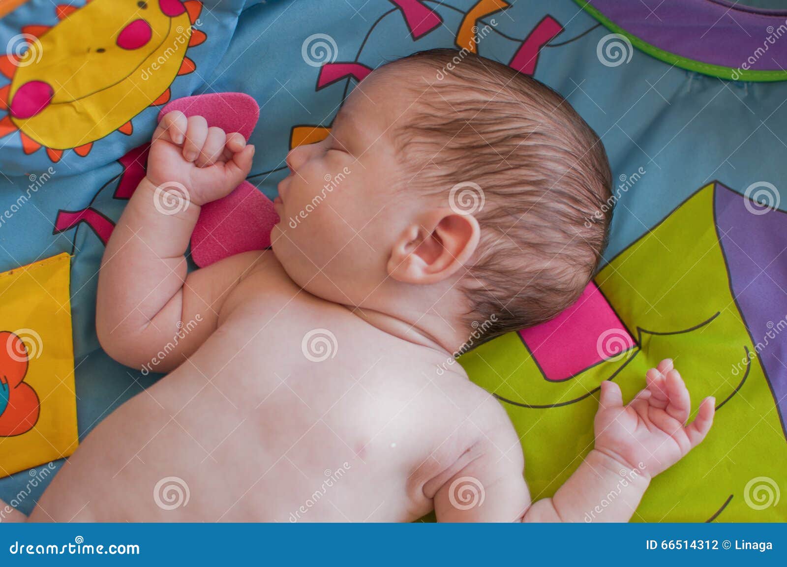 Little Baby Top View Portrait Stock Photo - Image of white, girl: 66514312