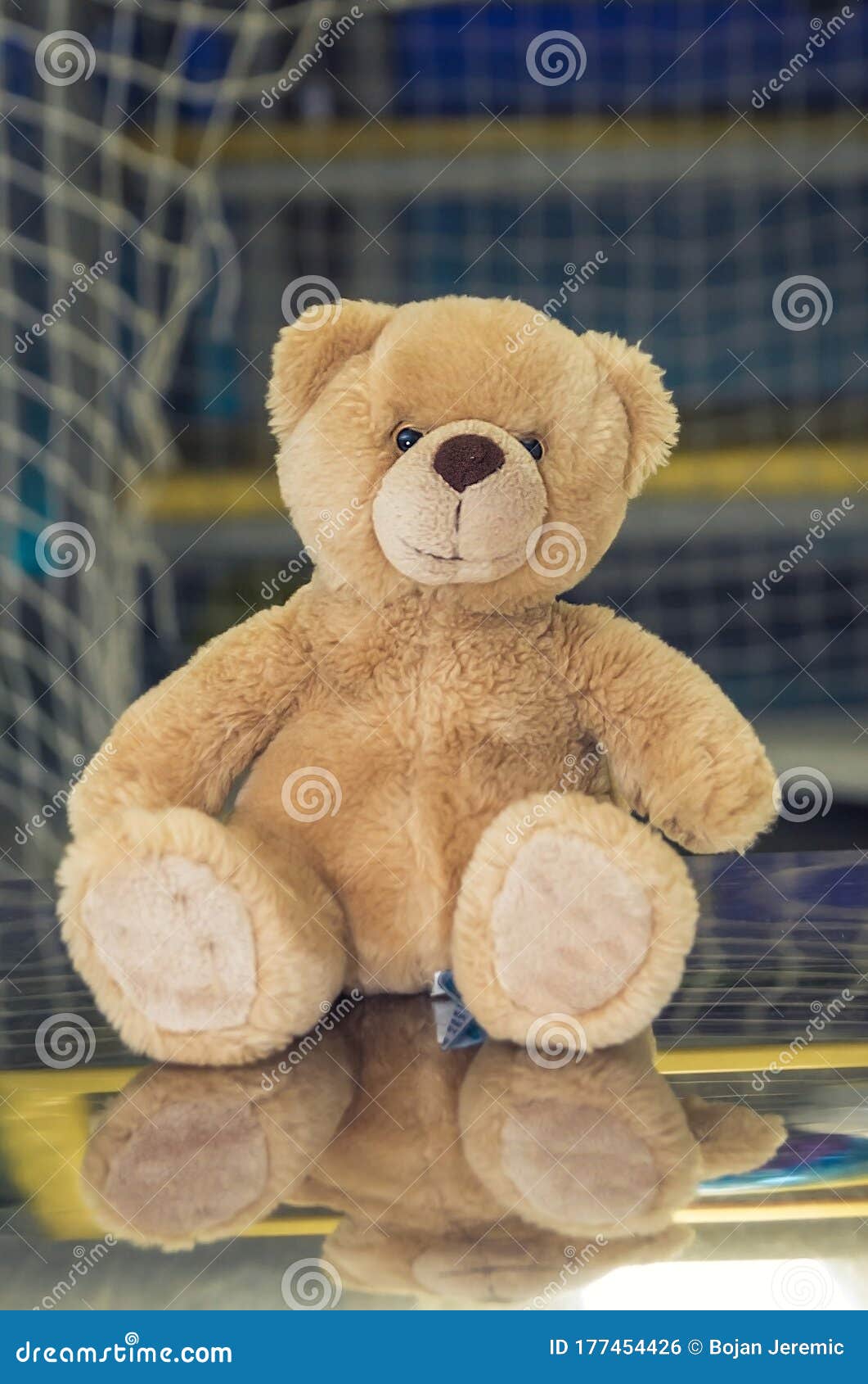 Little Bear Toy Sitting on the Reflection Surface. Bear Toy for Kids ...