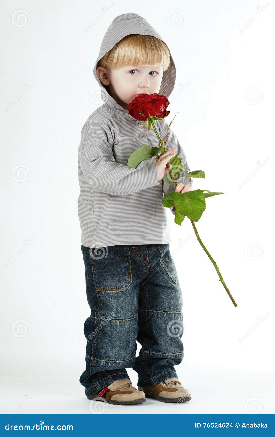 Little Beautiful Boy with Rose Isolated Stock Photo - Image of fresh ...