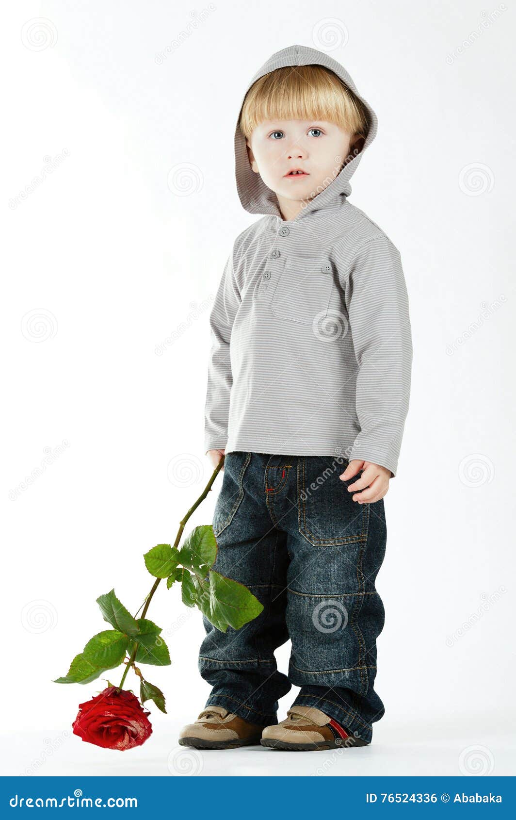 Little Beautiful Boy with Rose Isolated Stock Photo - Image of nose ...