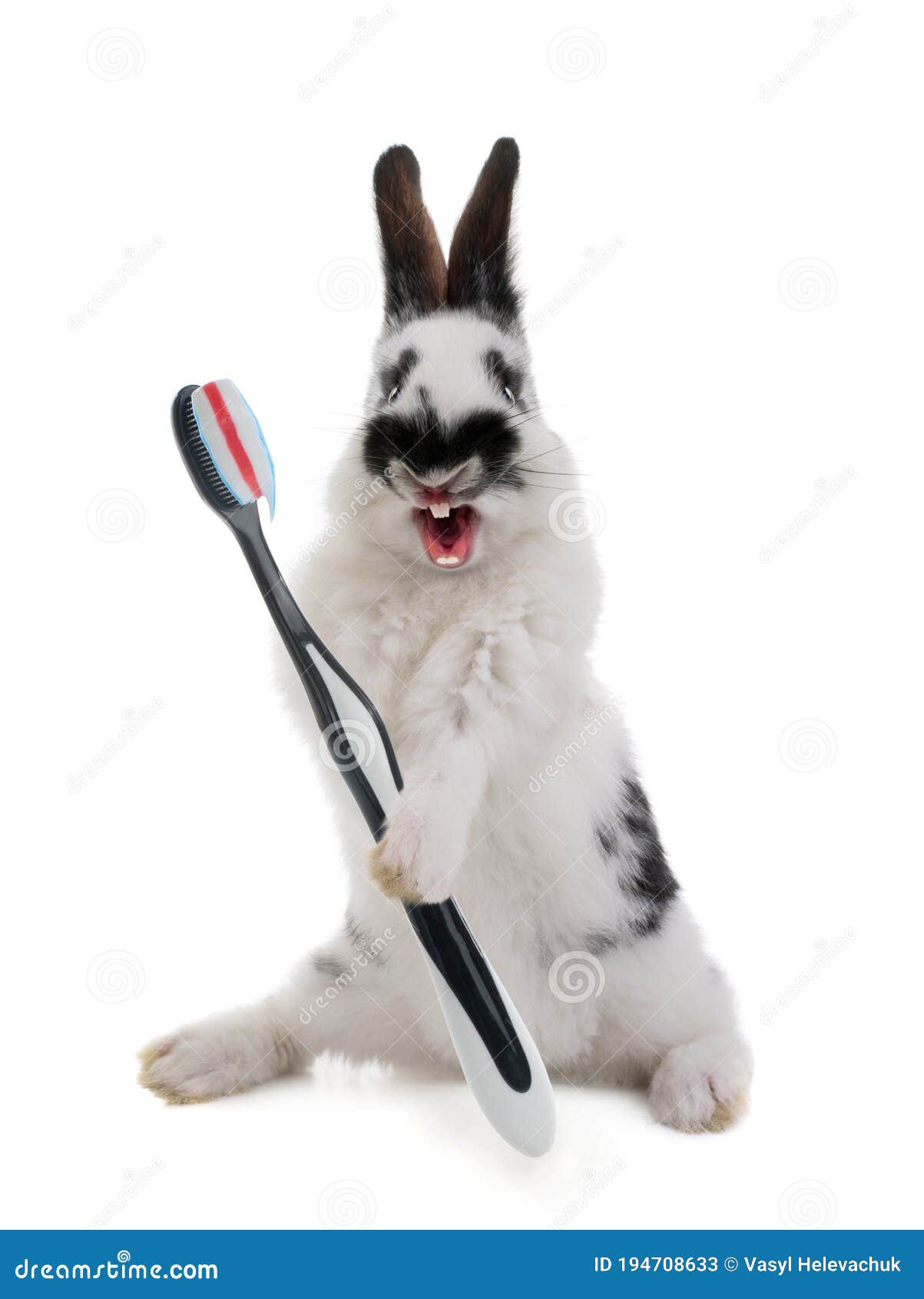 Little Beautiful Bunny Holds a Toothbrush with Paste in Its Paws ...