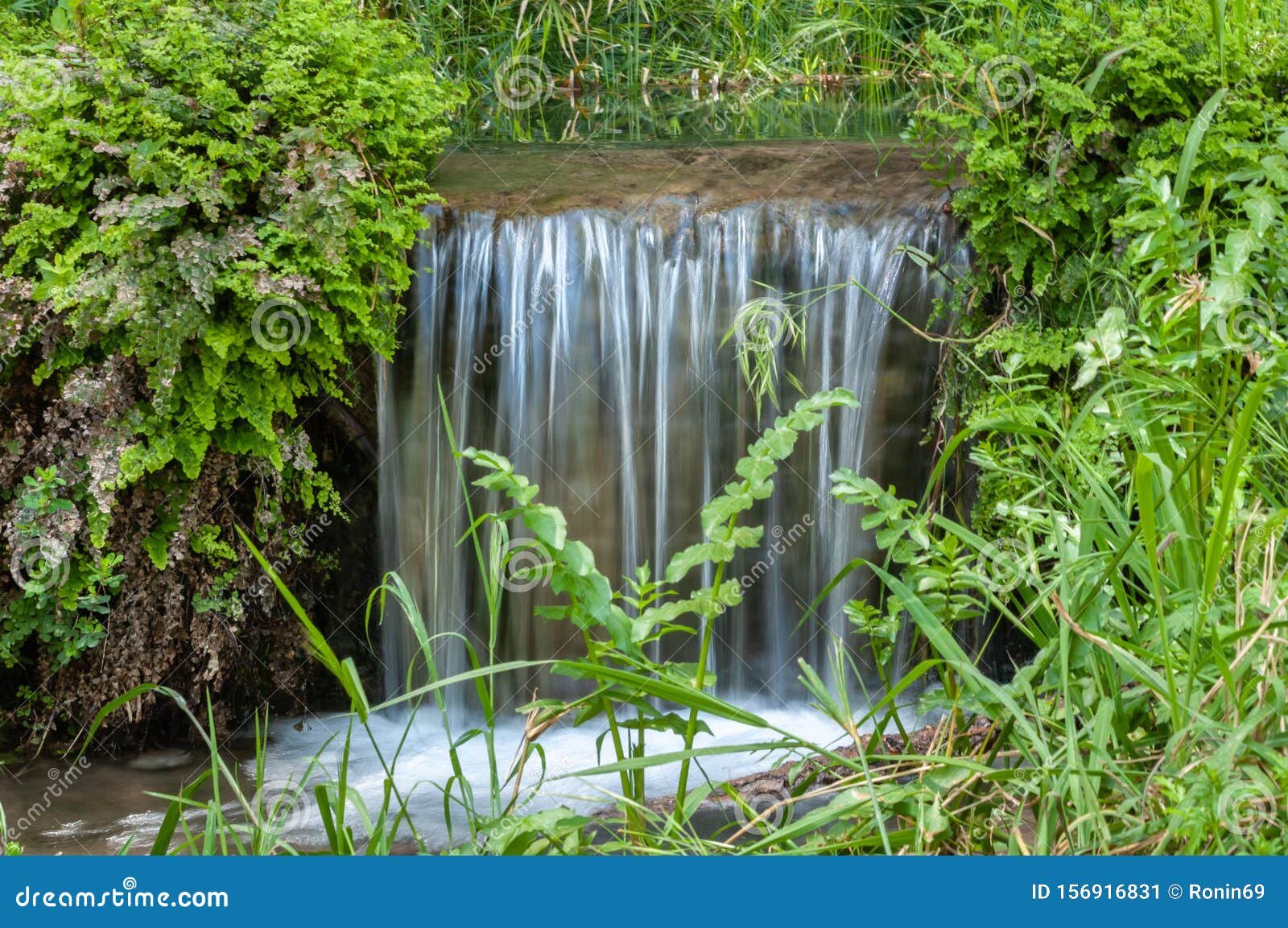 A Little Beautiful and Natural Cascade Stock Image - Image of beautiful ...