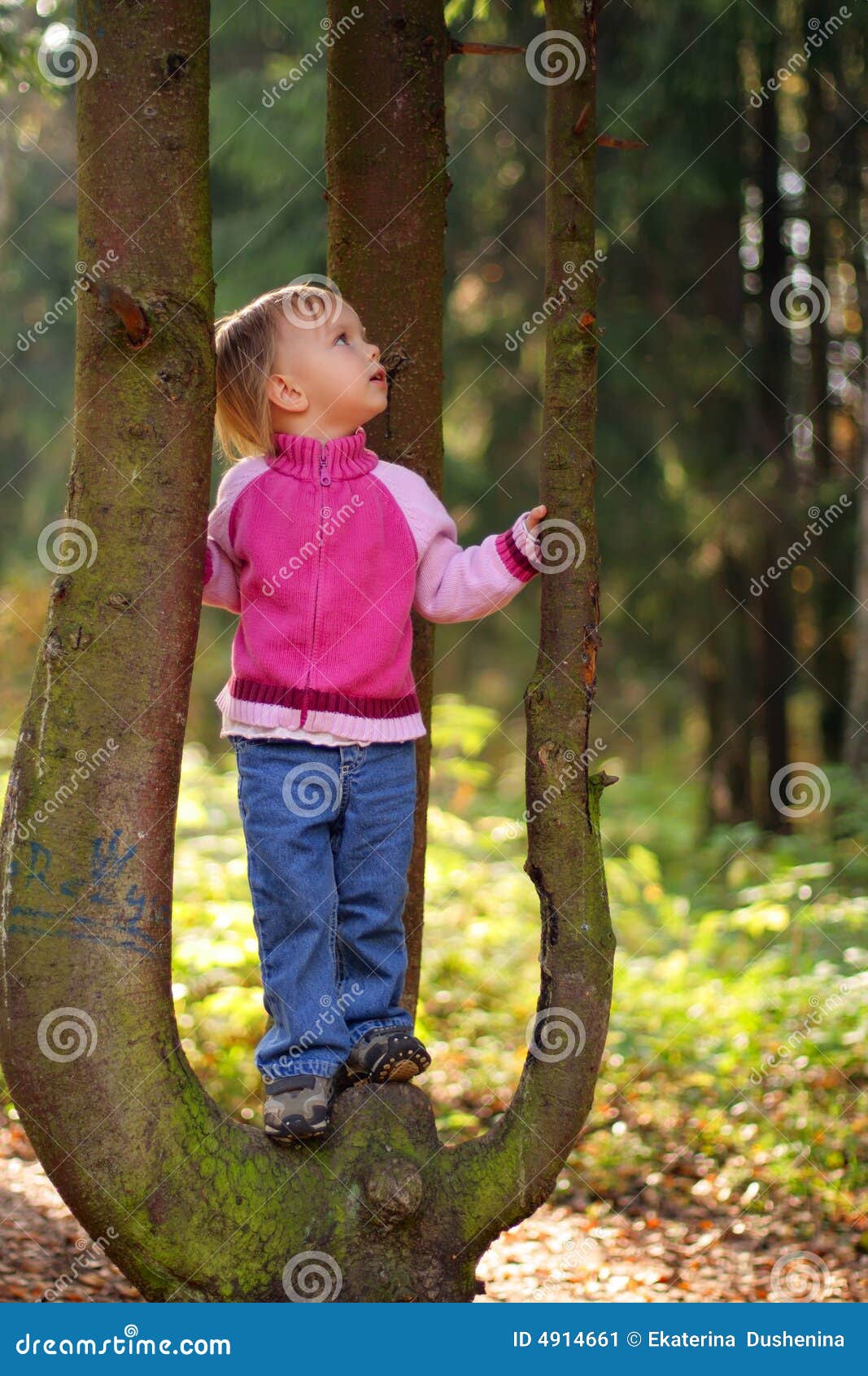 Little beauty girl on tree stock image. Image of childhood - 4914661