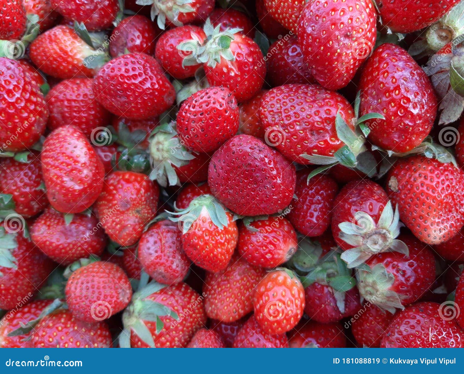 Little Big Stobari Together. Stock Image - Image of juice, beautiful ...