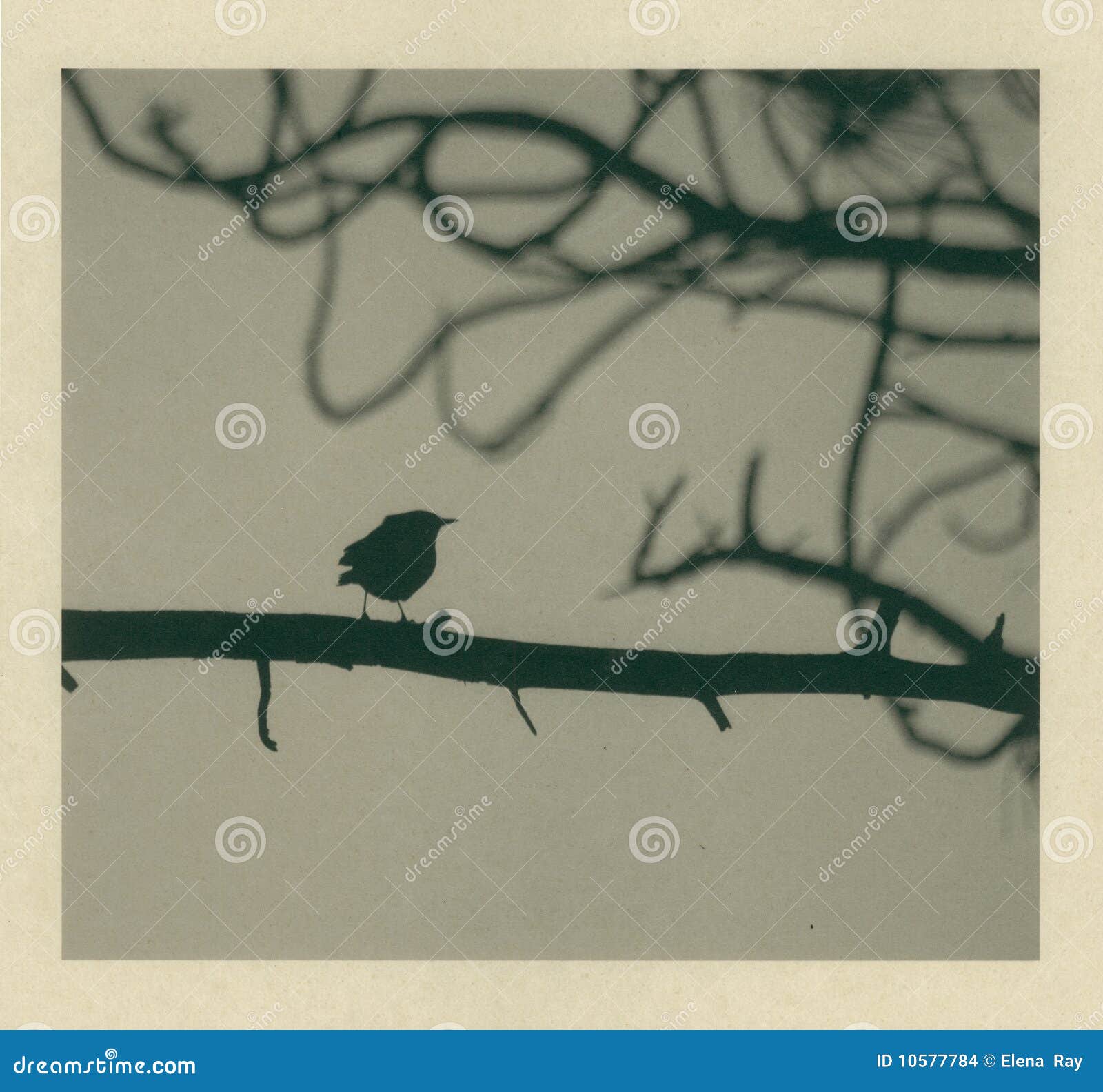 Little Zen Bird Silhouette stock illustration. Illustration of avian ...