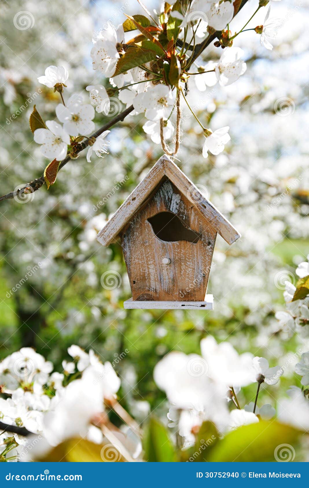 Little Birdhouse in Spring with Blossom Stock Photo - Image of home ...