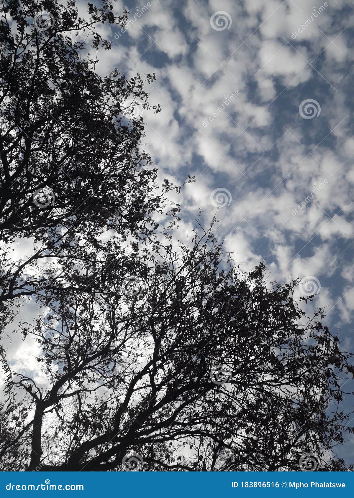 A Little Bit of Light in a Dark Club Stock Photo - Image of black, hand ...