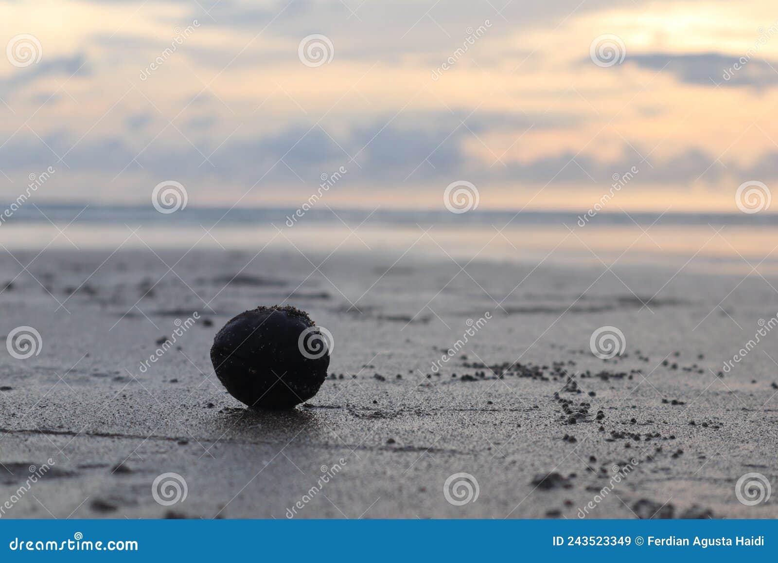 Little Black Rock on the Sand Stock Image - Image of sand, water: 243523349