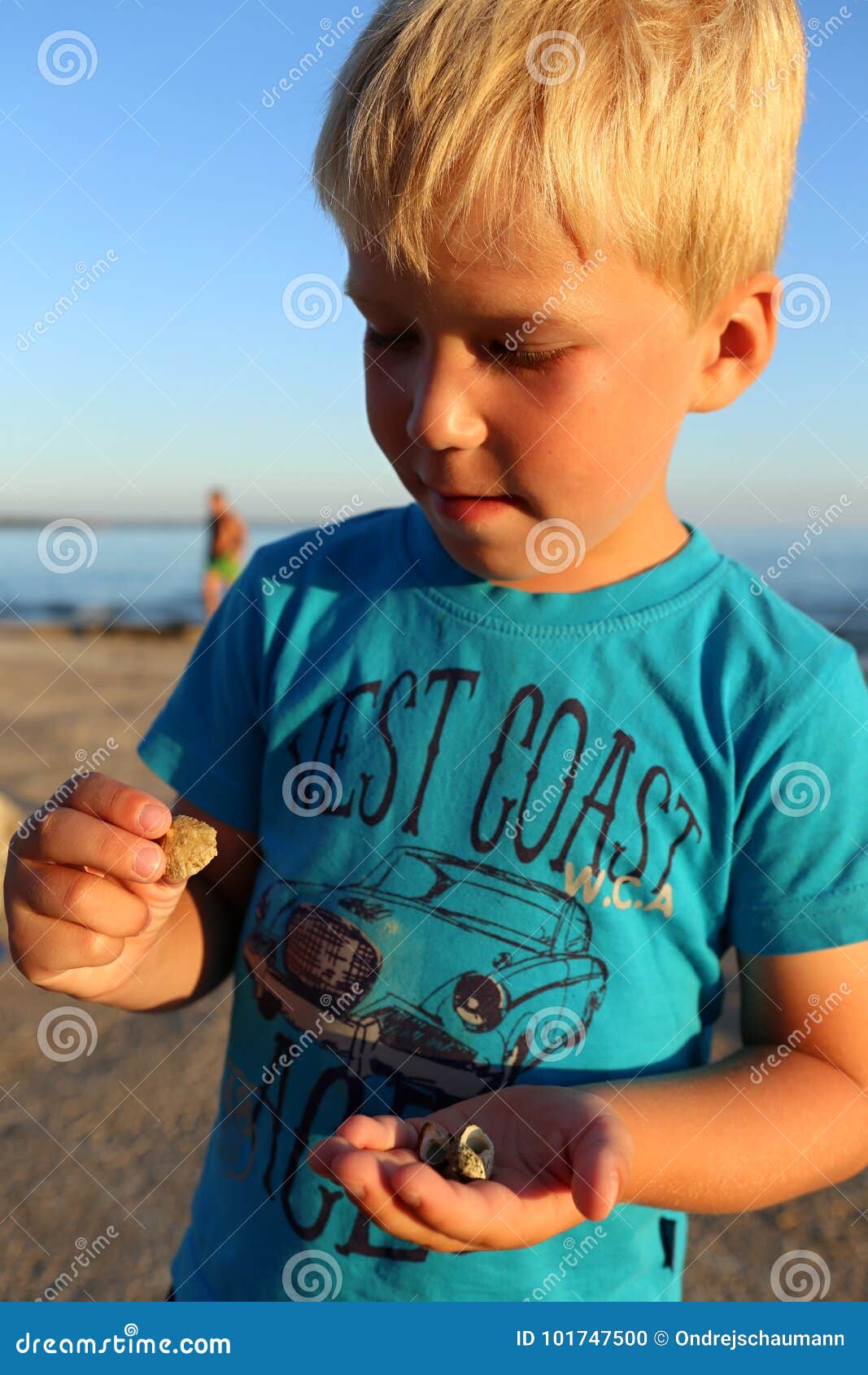 Little Boy Collecting Shells on the Beach Stock Photo - Image of conch ...