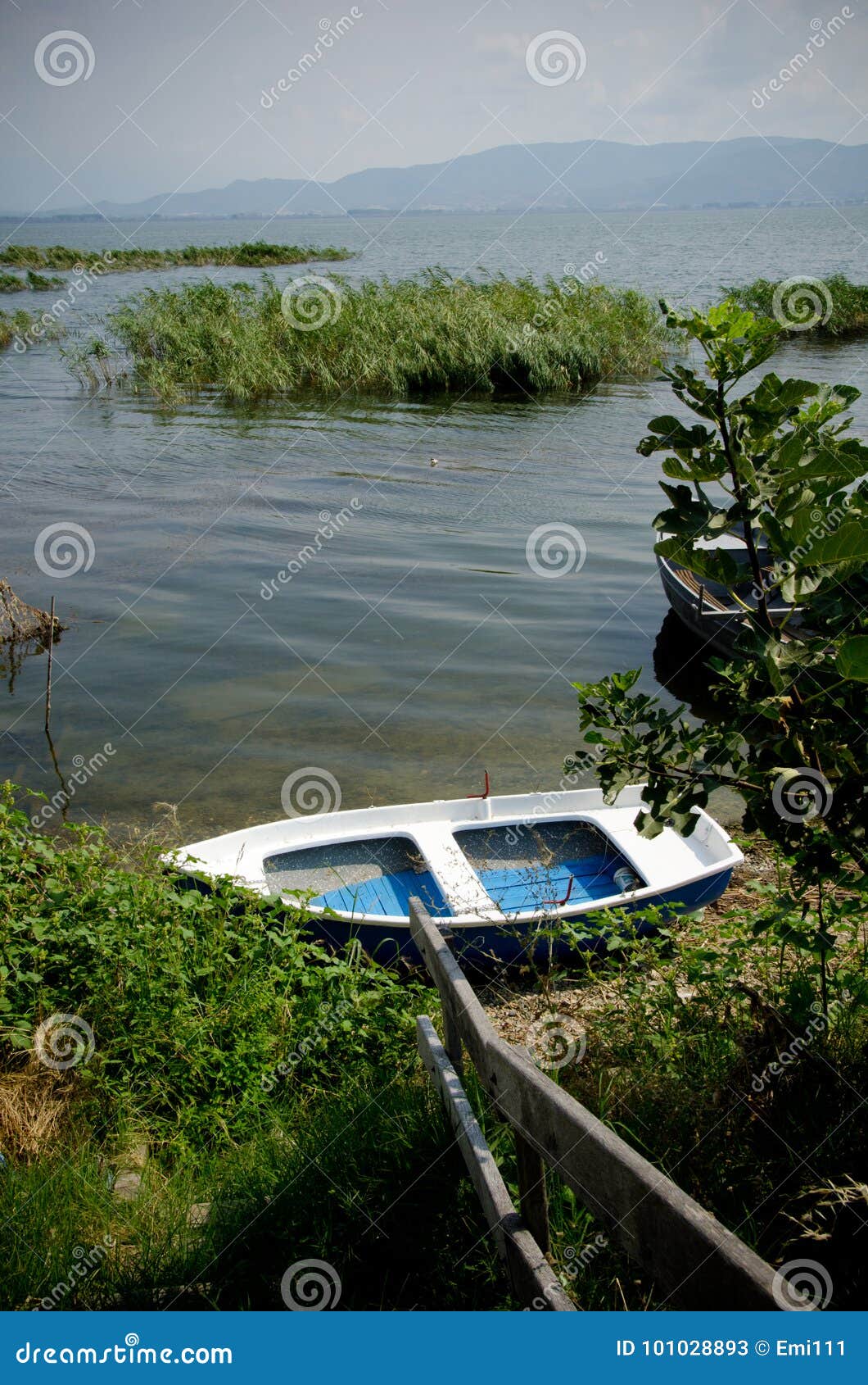 Little boat on the shore stock image. Image of green - 101028893