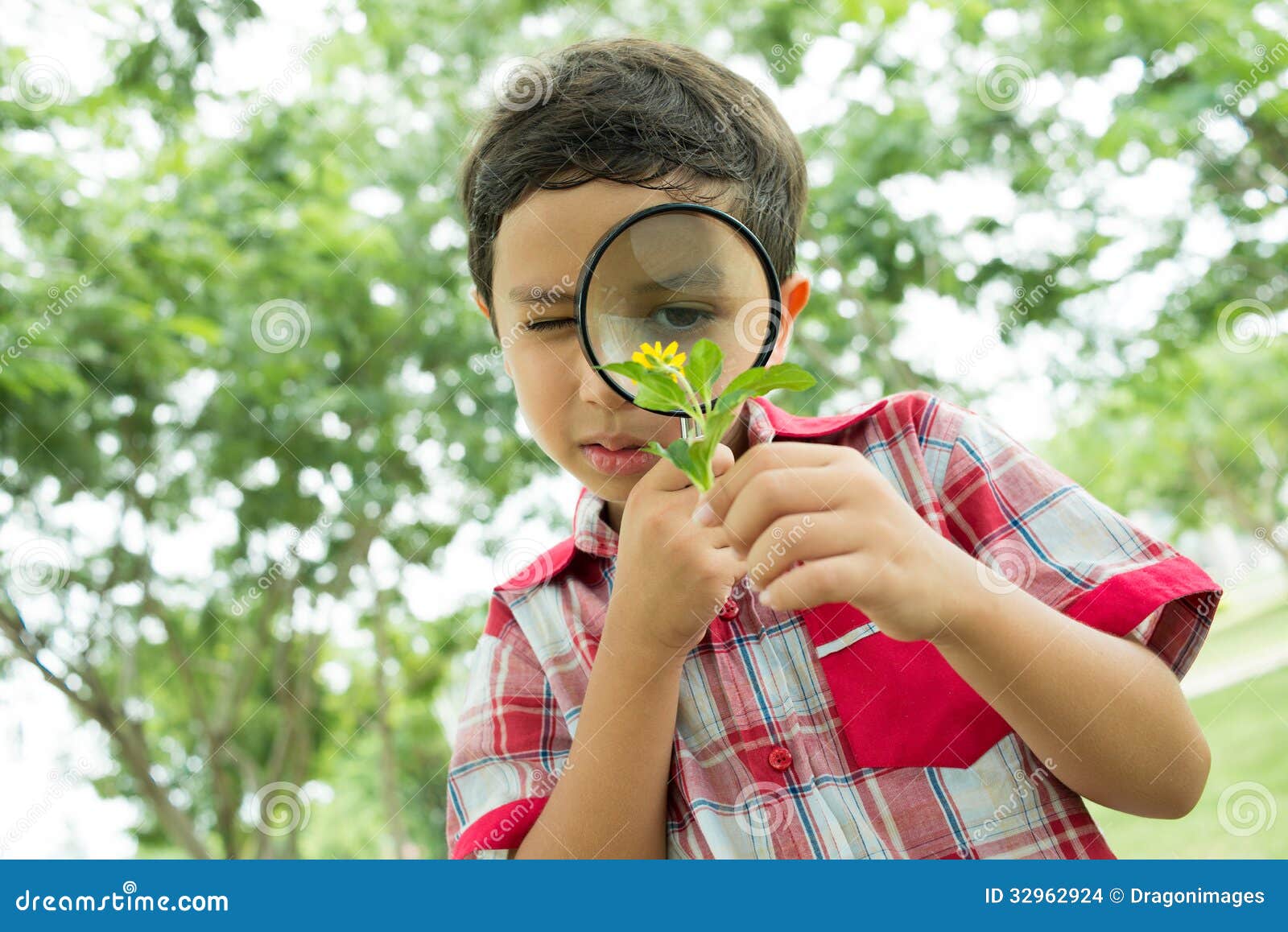 Little botanist stock photo. Image of botanical, closeup - 32962924
