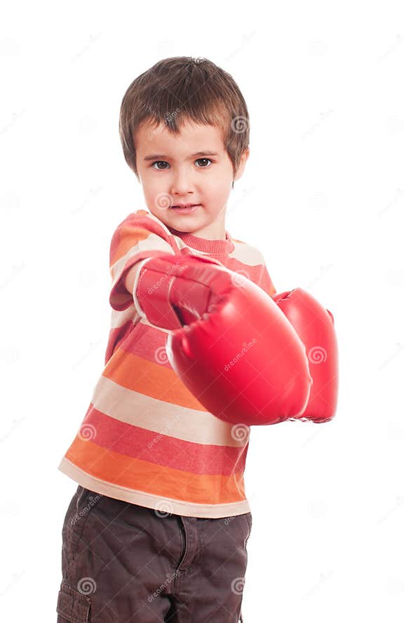 Little boxer attack stock image. Image of serious, bully - 19197041