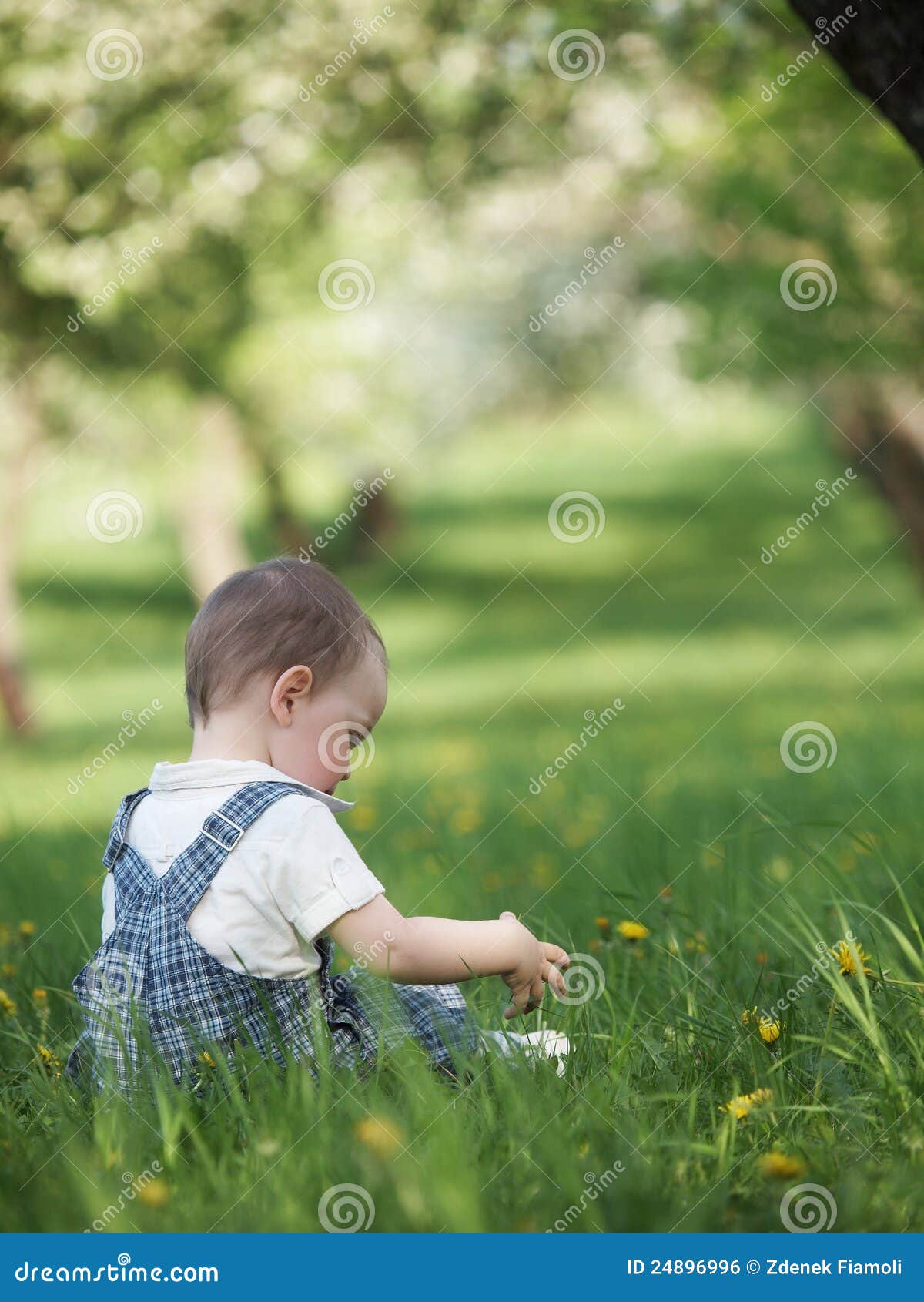 Little boy stock photo. Image of cheerful, happiness - 24896996