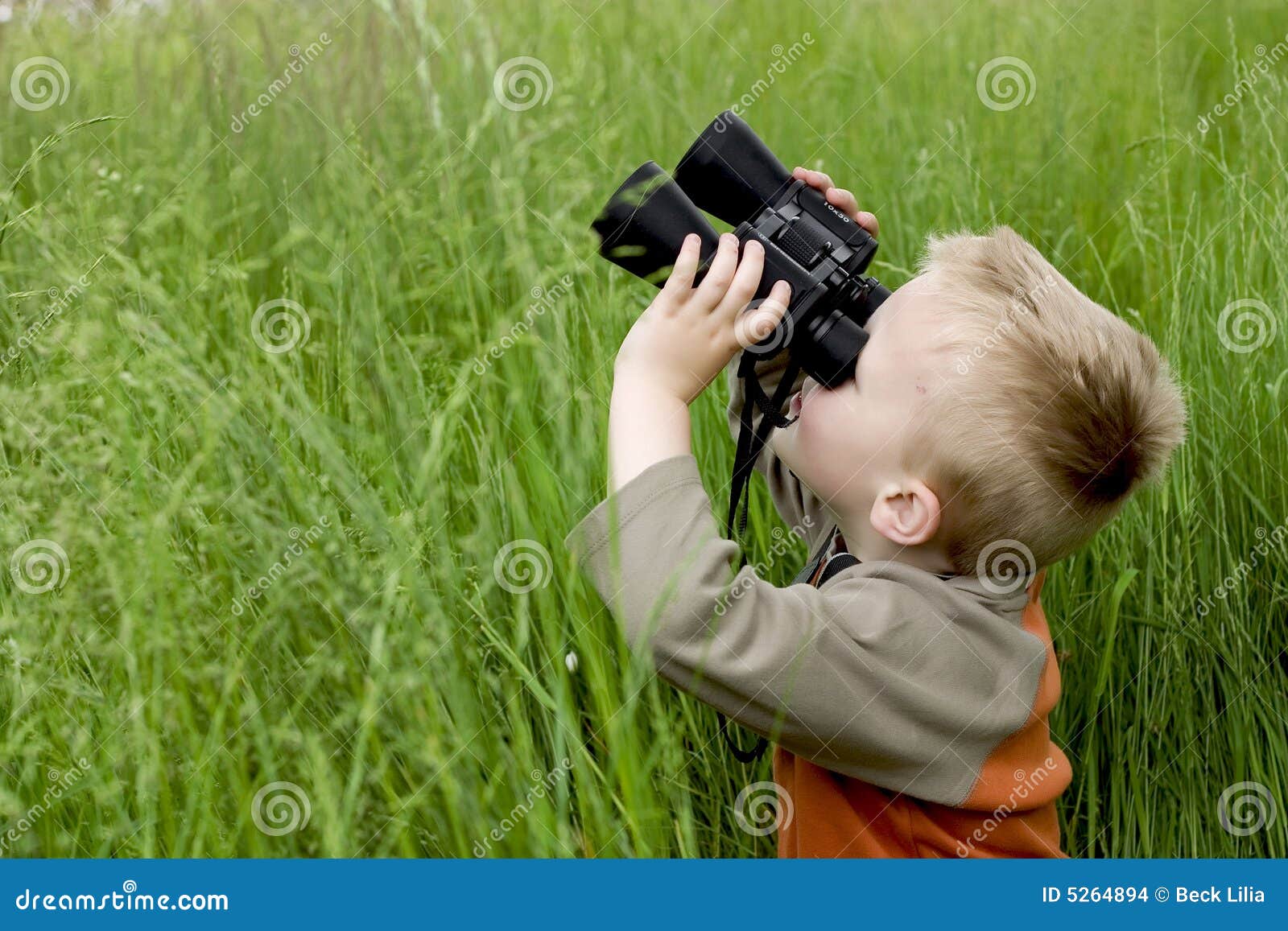 Little boy stock photo. Image of discovery, boys, finding - 5264894