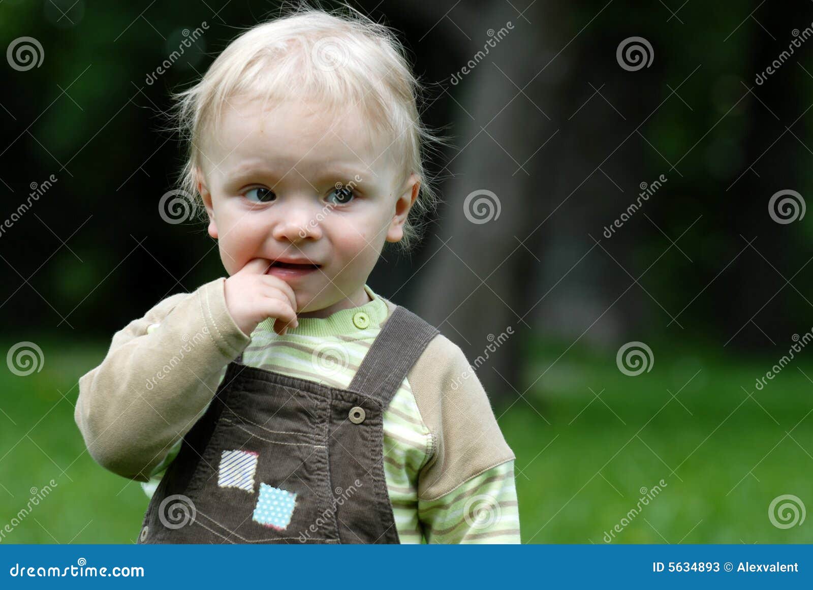 The Little Boy Picture. Image: 5634893