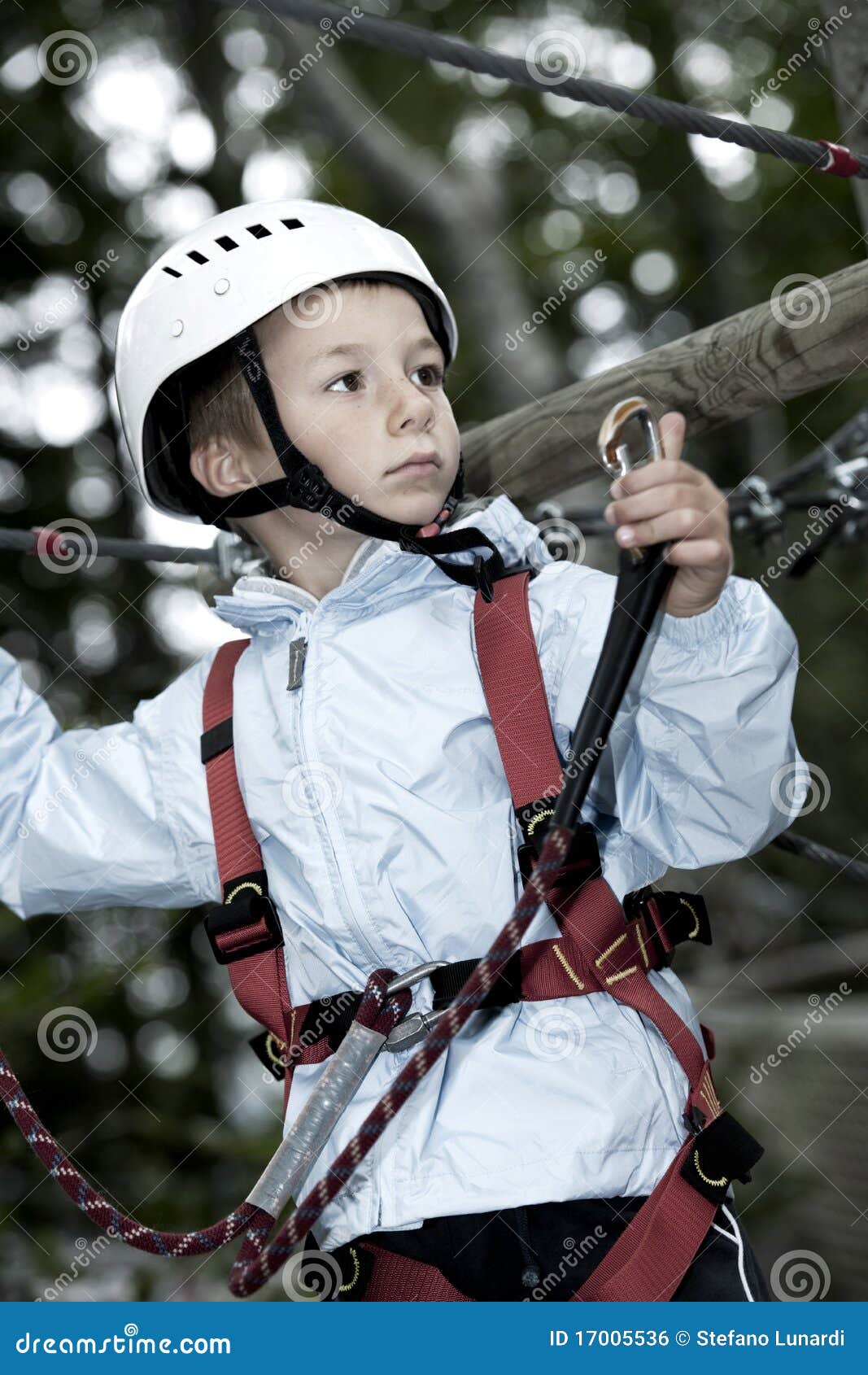 Little Boy in Adventure Park Stock Photo - Image of little, safety ...