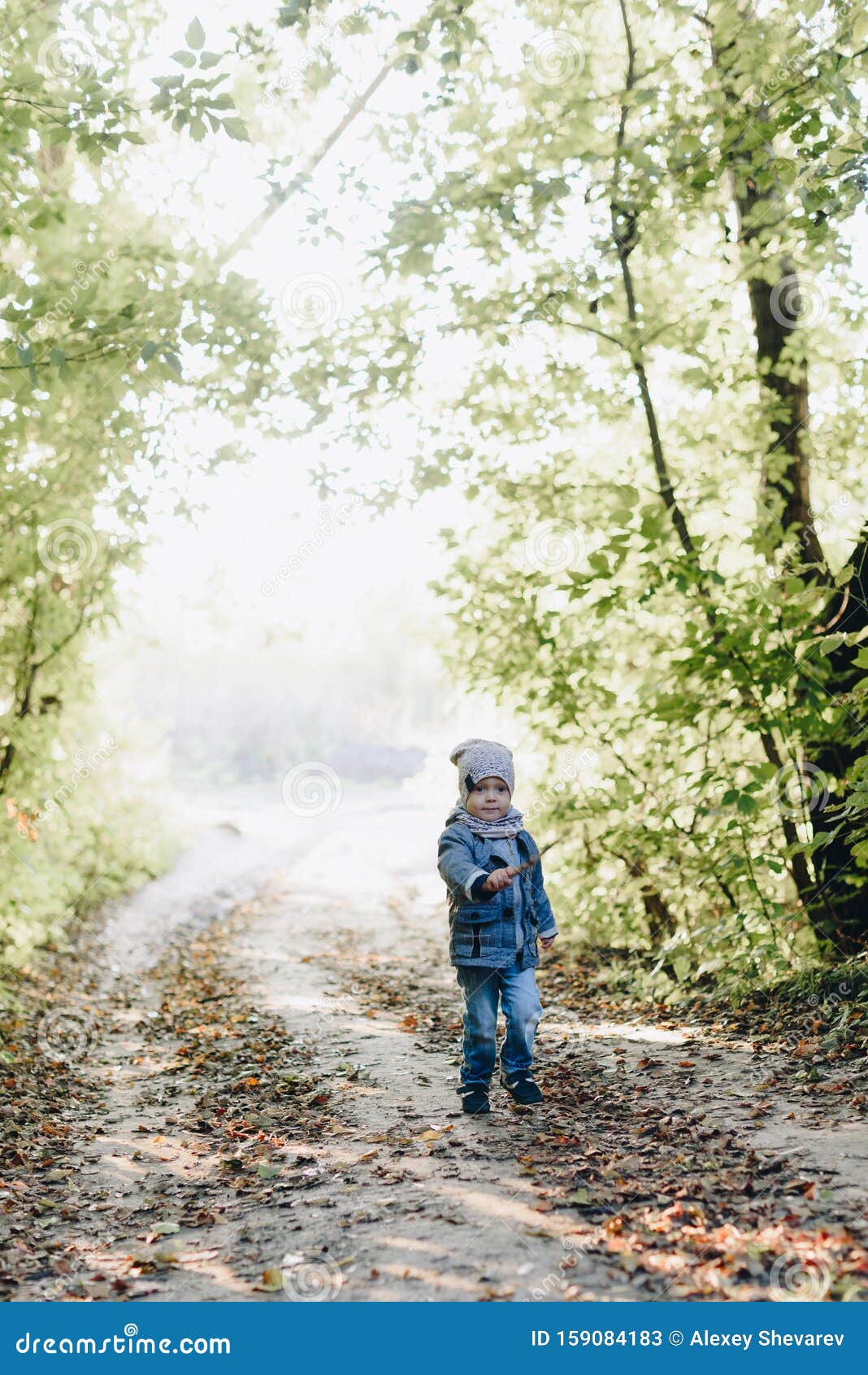 Little Boy Alone in Autumn Outdoors in the Park Stock Image - Image of ...