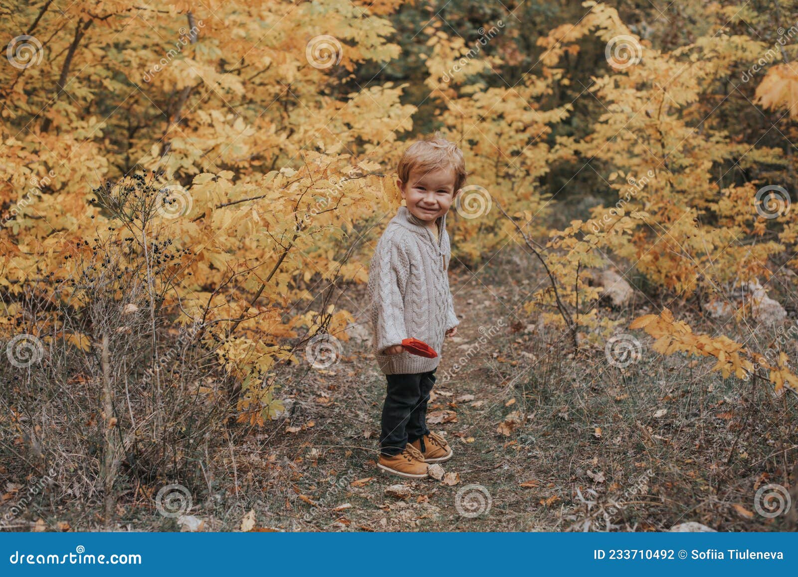 Little Boy in the Autumn Forest. Outdoor Activity Stock Photo - Image ...