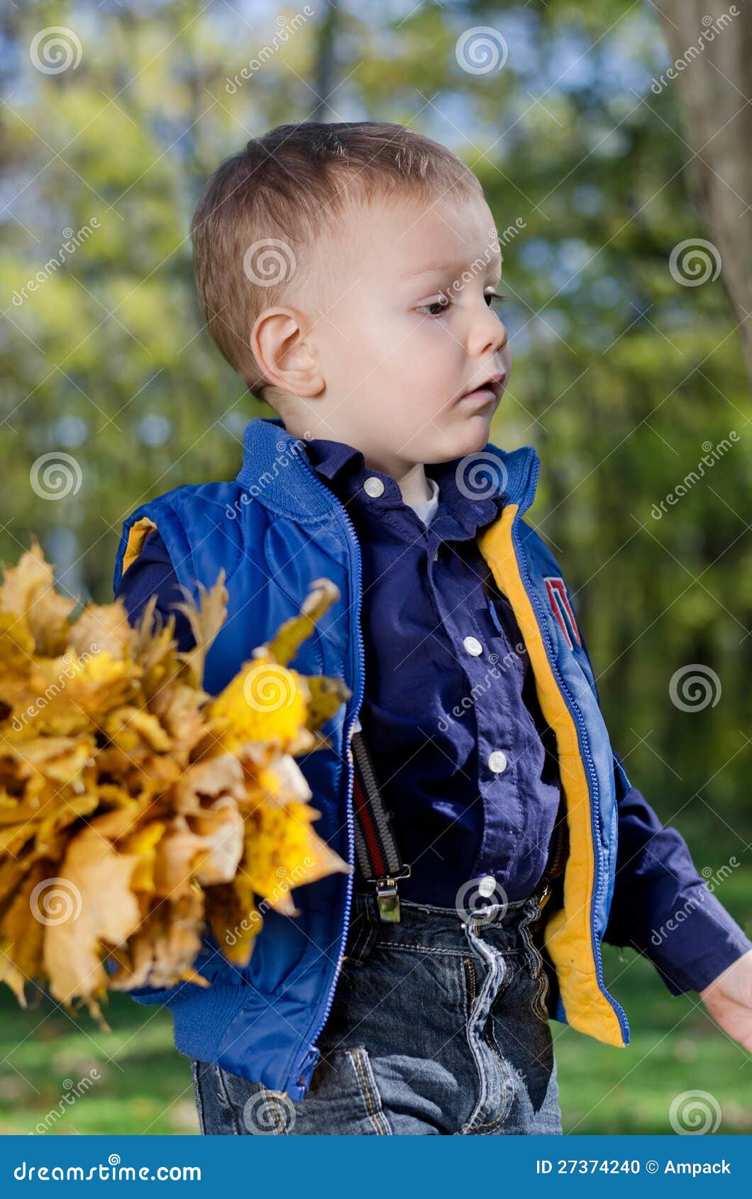 Little Boy with Autumn Leaves Stock Photo - Image of explore, fall ...