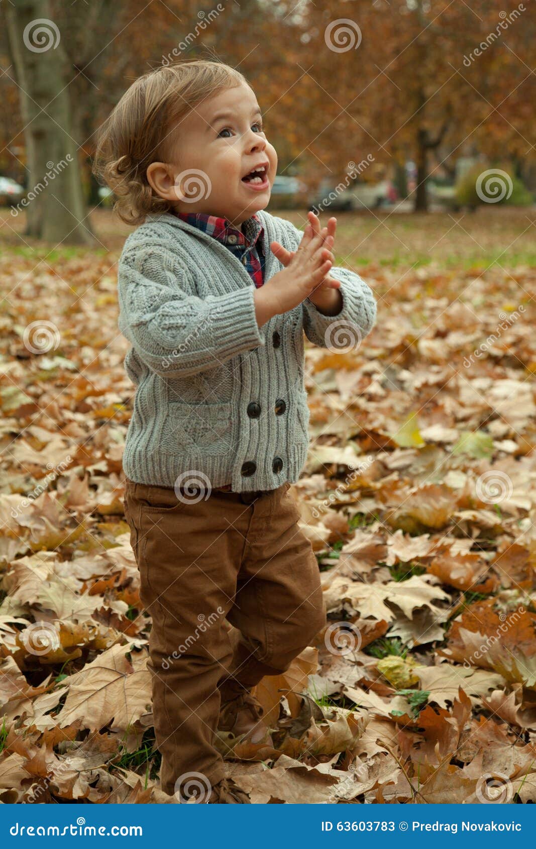 Little Boy in Autumn Leaves Stock Image - Image of happy, baby: 63603783