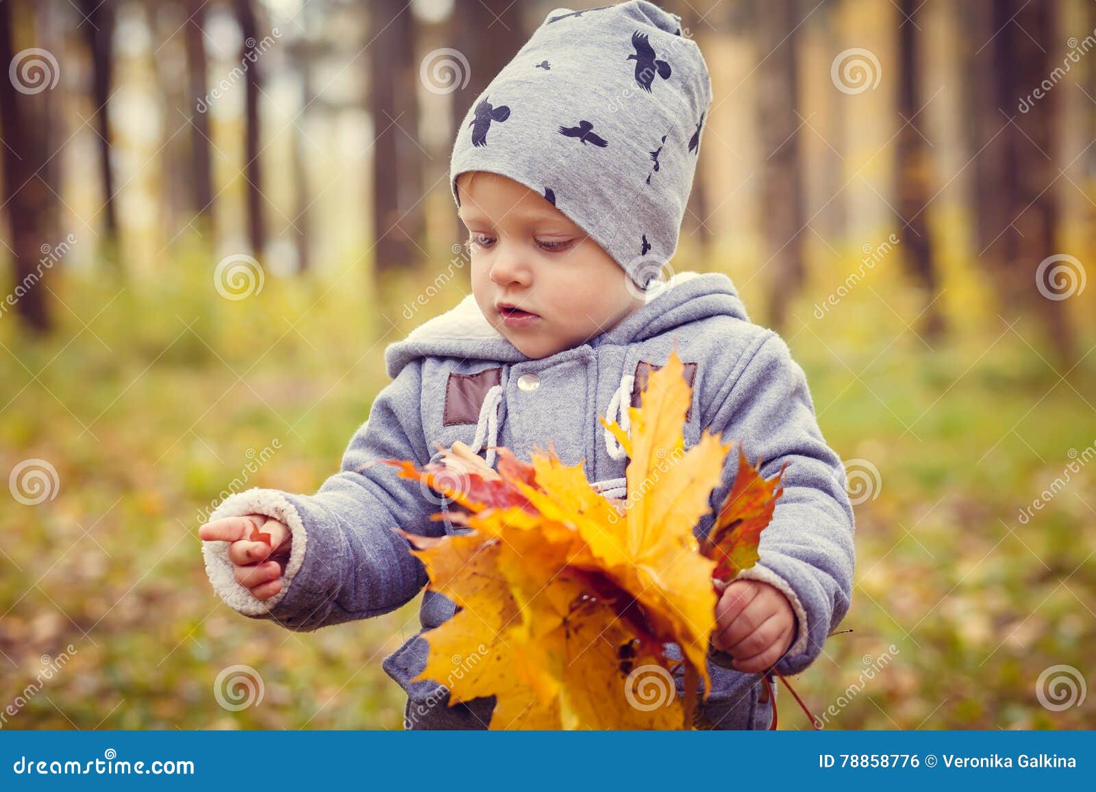 Little boy in autumn park stock photo. Image of october - 78858776