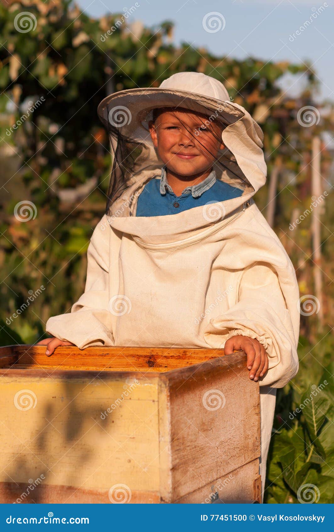 Little Boy Beekeeper Works on an Apiary at Hive Stock Photo - Image of ...