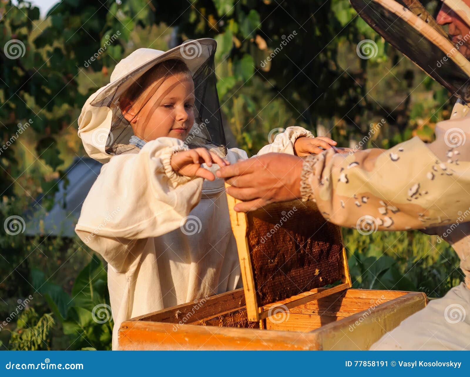 Little Boy Beekeeper Works on an Apiary at Hive Stock Image - Image of ...
