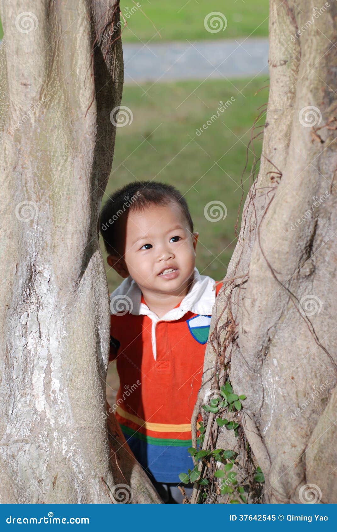 Little boy behind the tree stock image. Image of park - 37642545