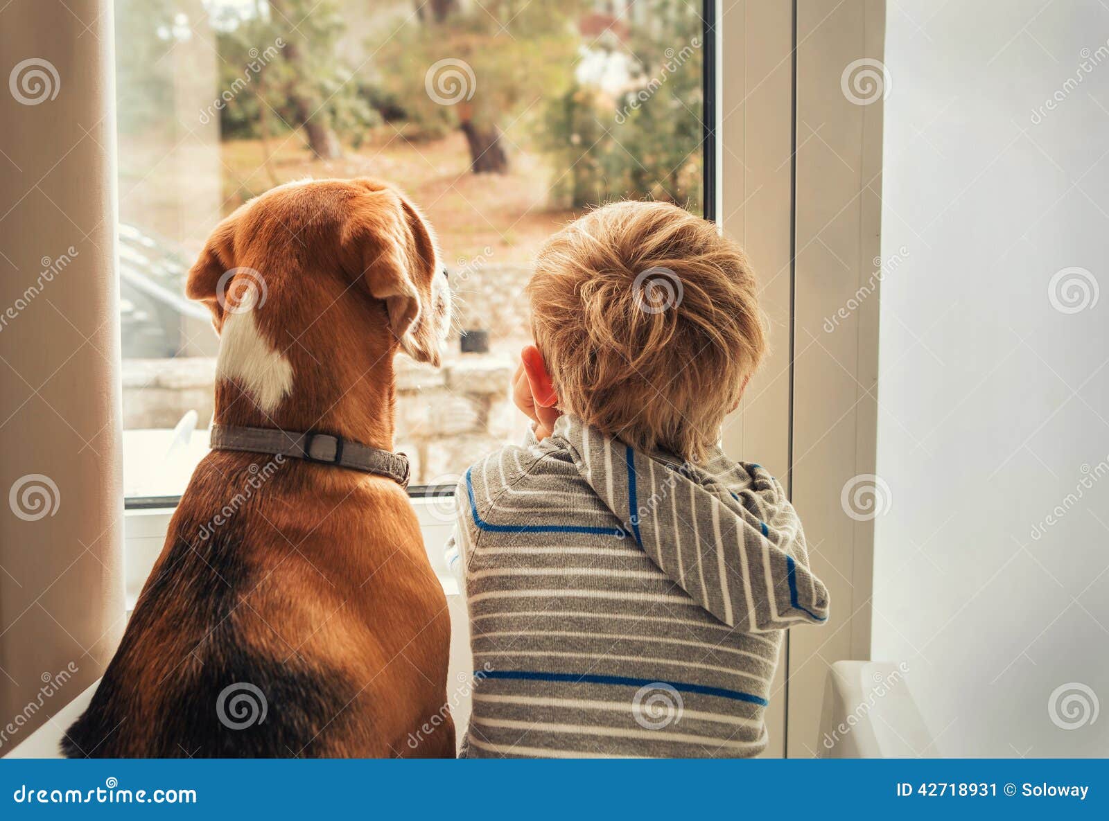 Little Boy with Best Friend Looking through Window Stock Image - Image ...