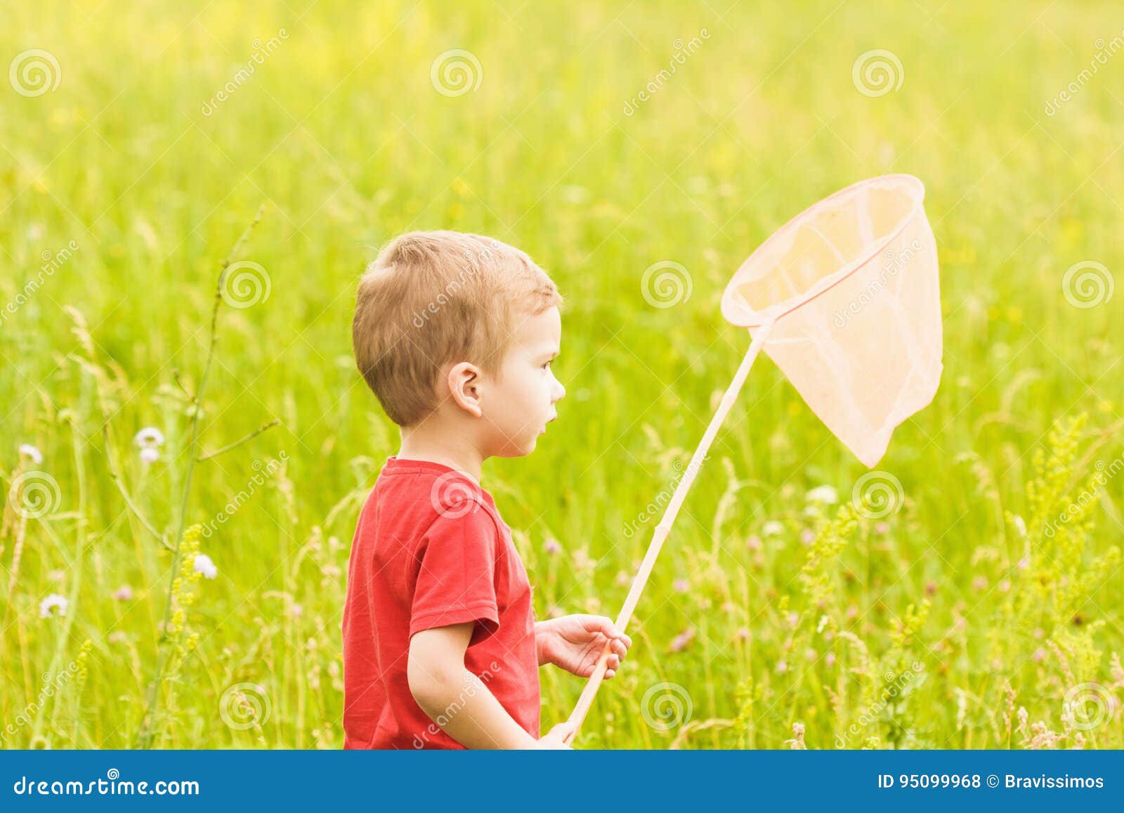 Little Boy with a Butterfly Net on a Summer Meadow Stock Photo - Image ...