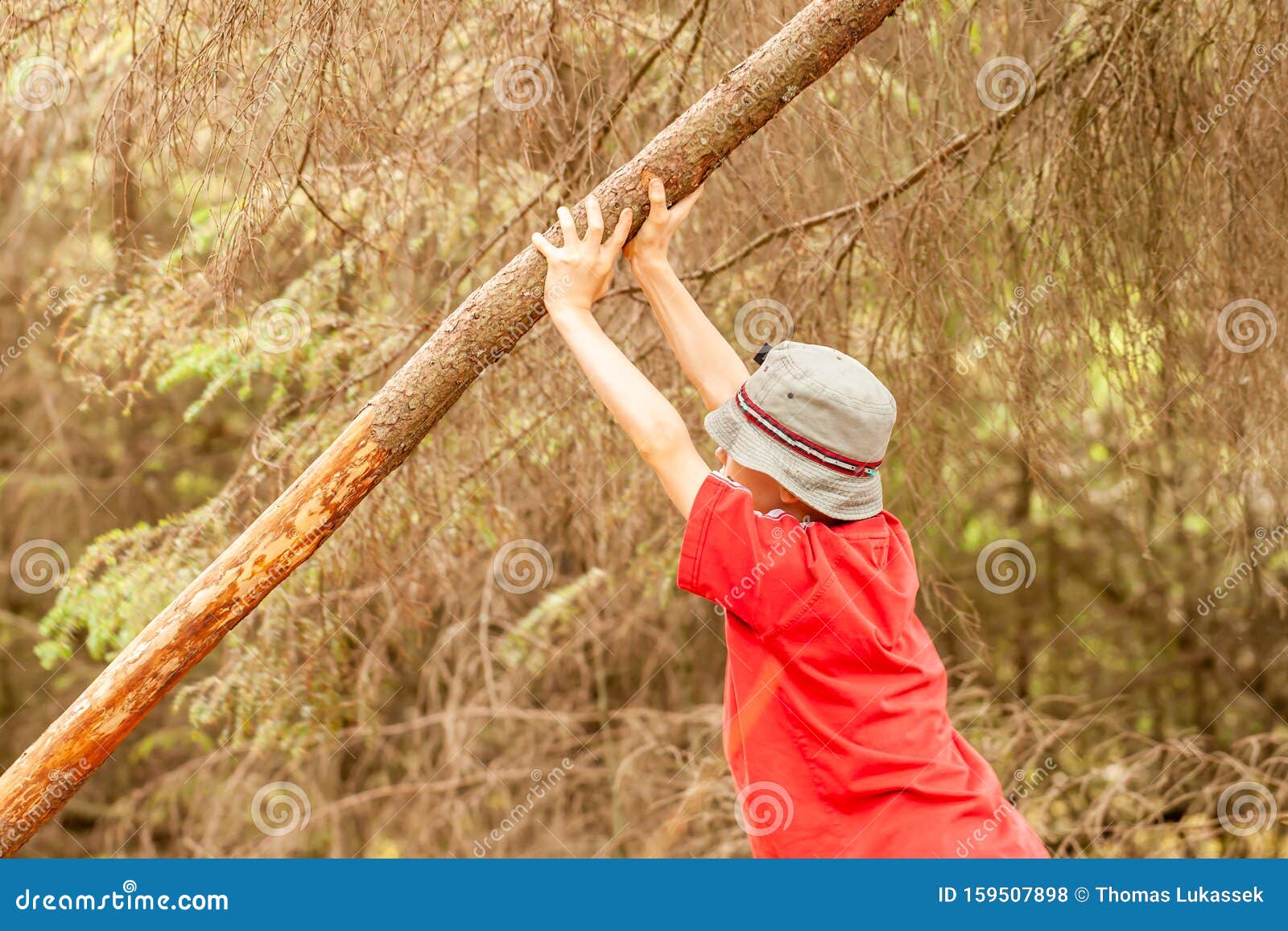 Little Boy with Cap Pressing Against Falling Tree Stock Photo - Image ...