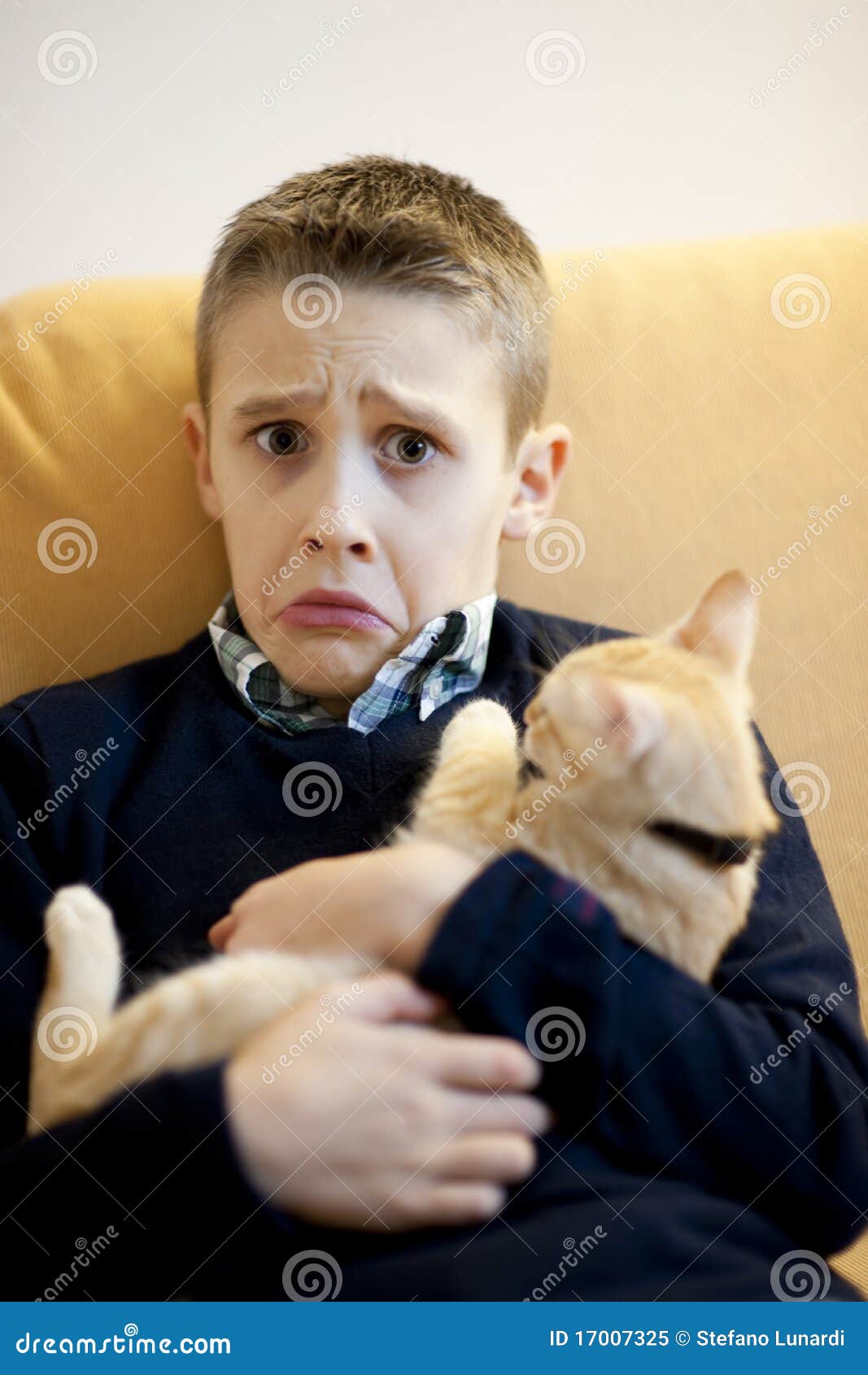 Little boy with cat stock image. Image of childhood, practicing - 17007325