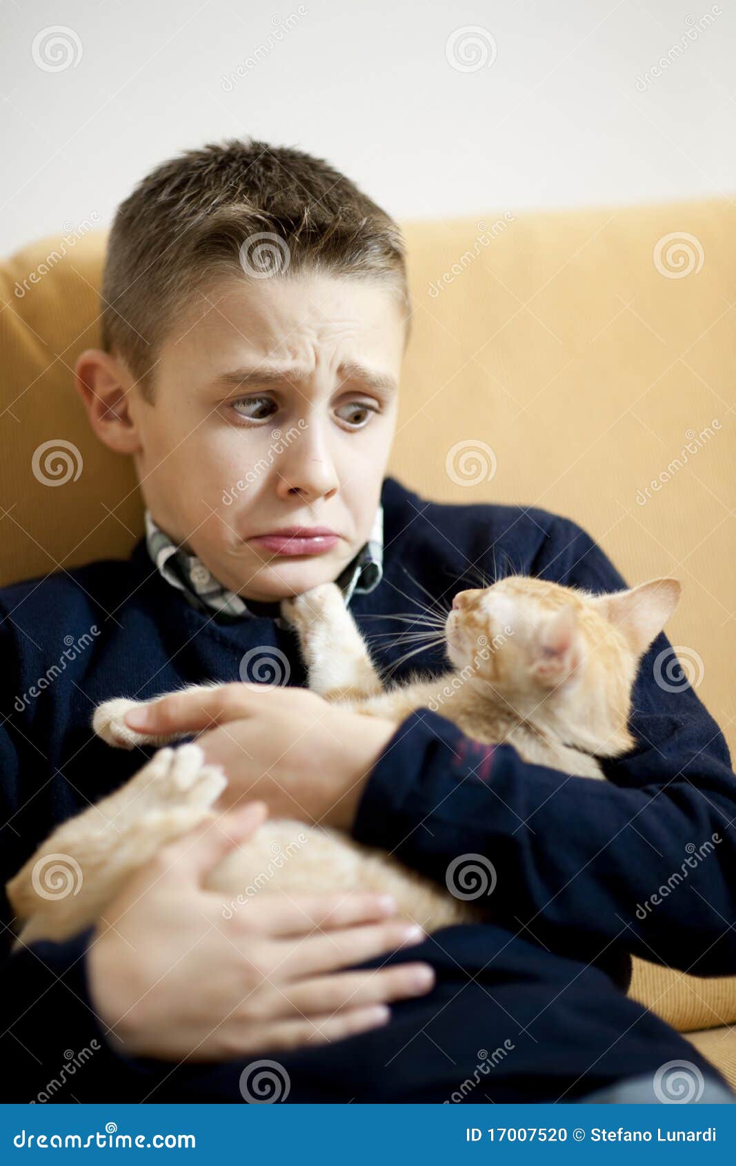 Little boy with cat stock photo. Image of play, schooler - 17007520