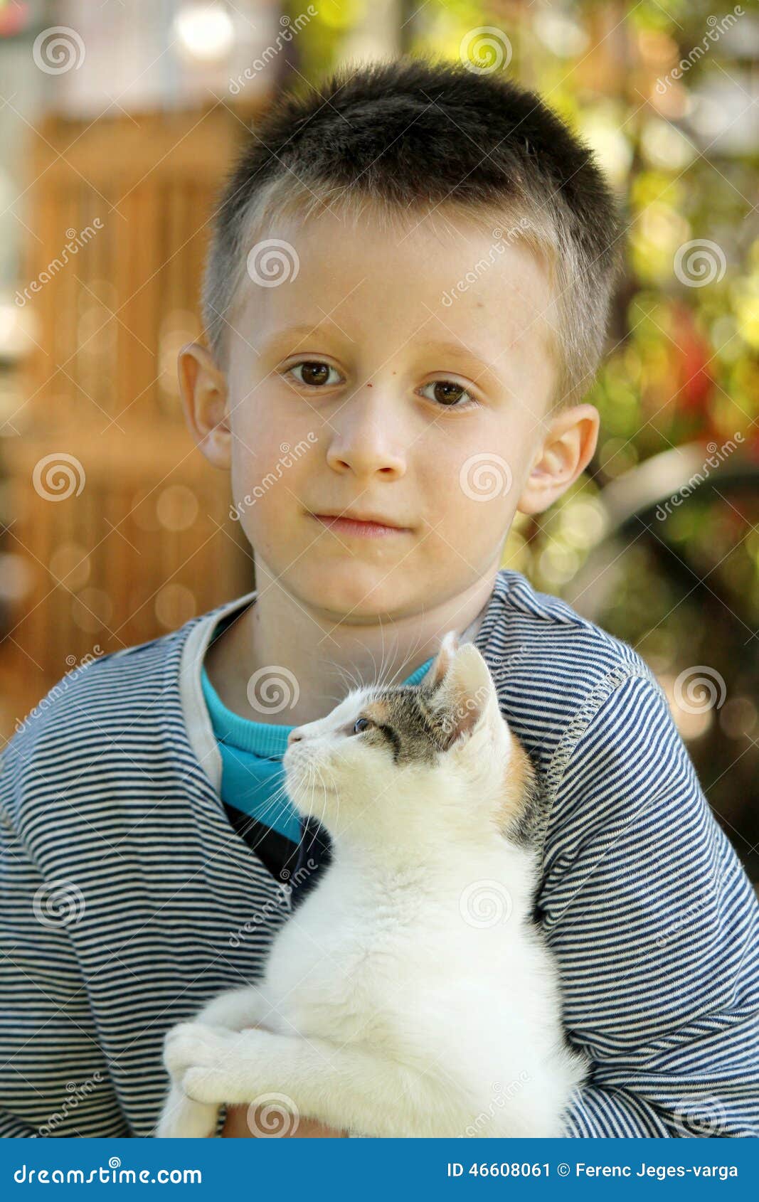 Little boy with cat stock image. Image of innocence, lying - 46608061