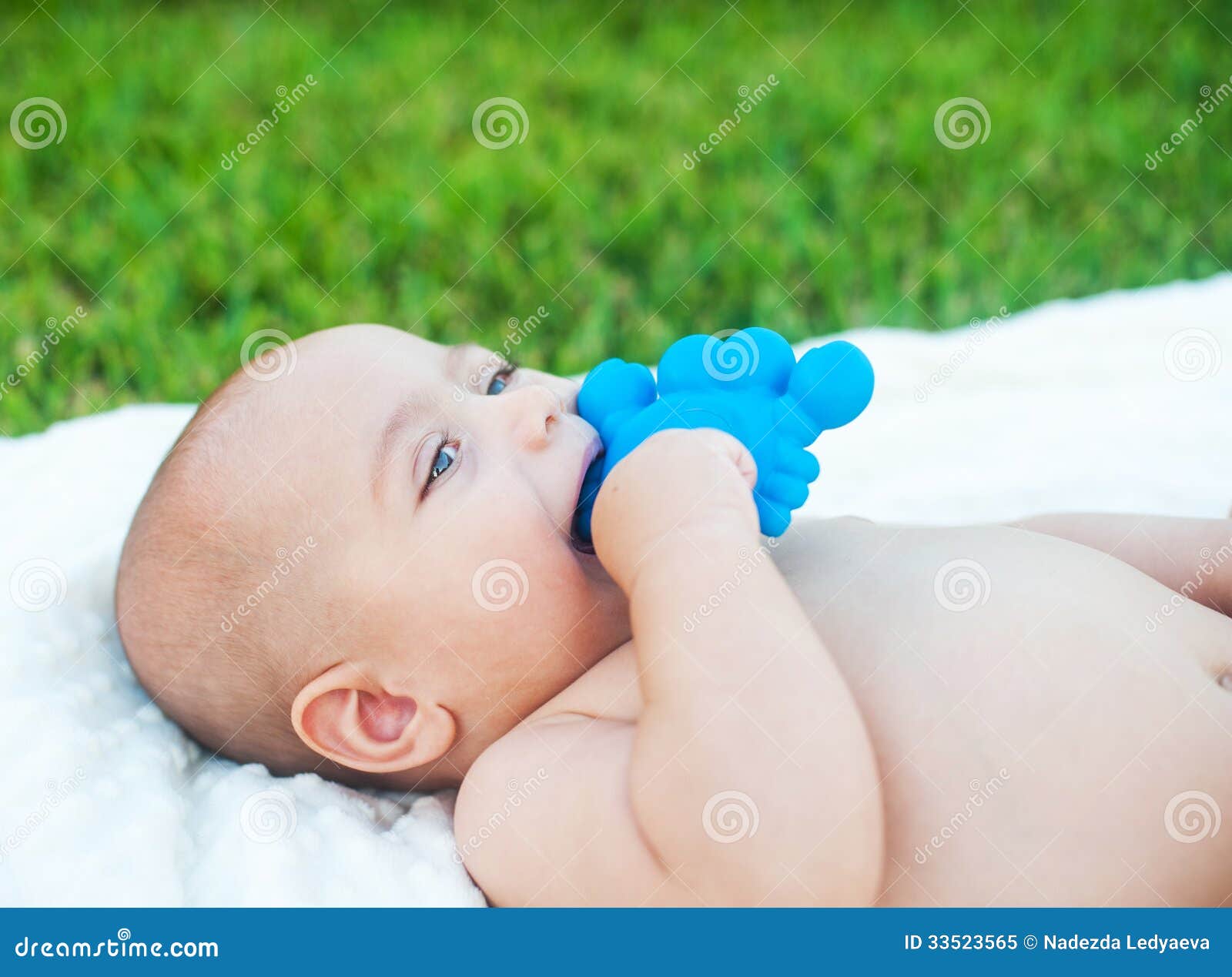 Little Boy Chewing on a Rubber Toy Stock Image - Image of grass, eyes ...