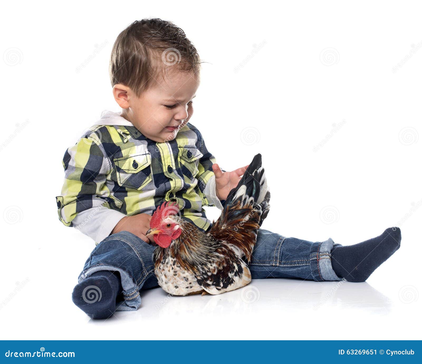 Little boy and chicken stock image. Image of male, child - 63269651
